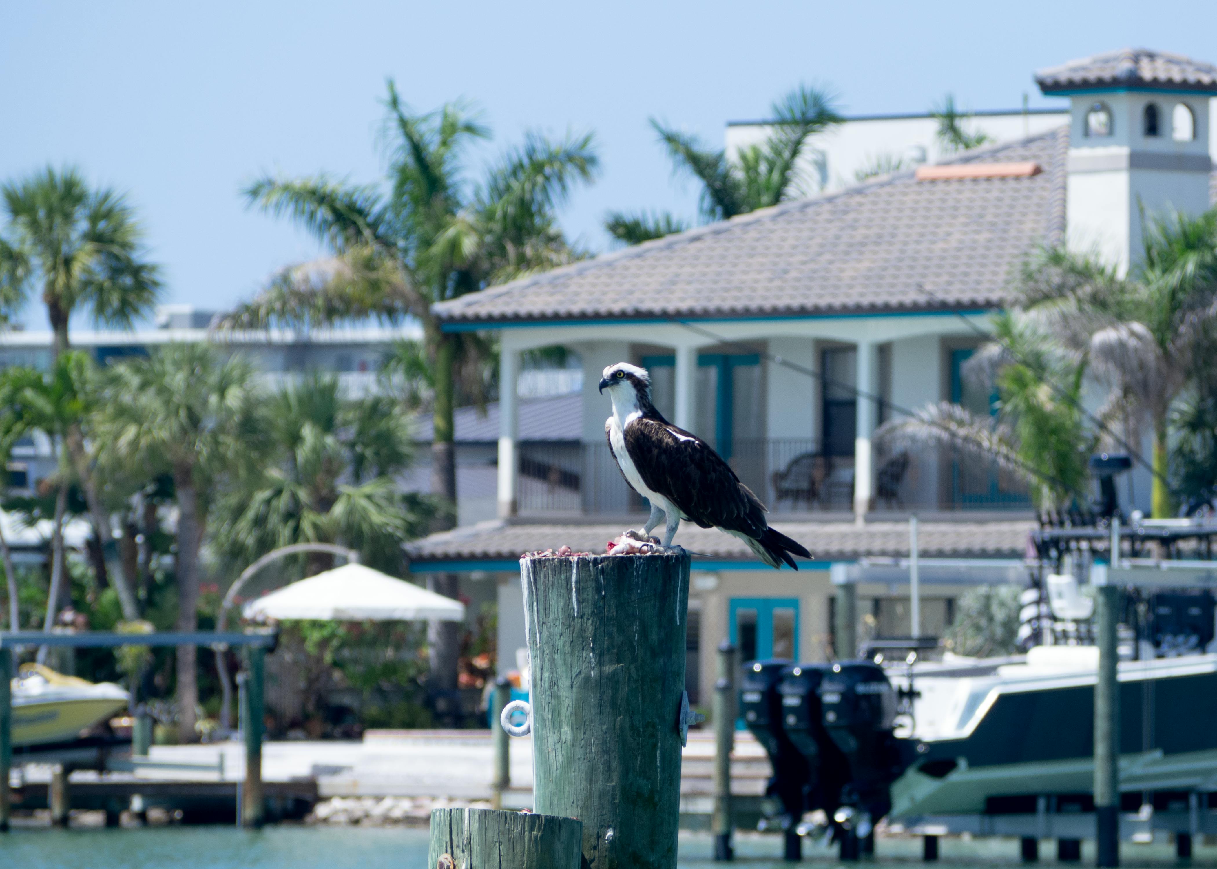 Sea Hunter Boats Photos, Download The BEST Free Sea Hunter Boats Stock ...