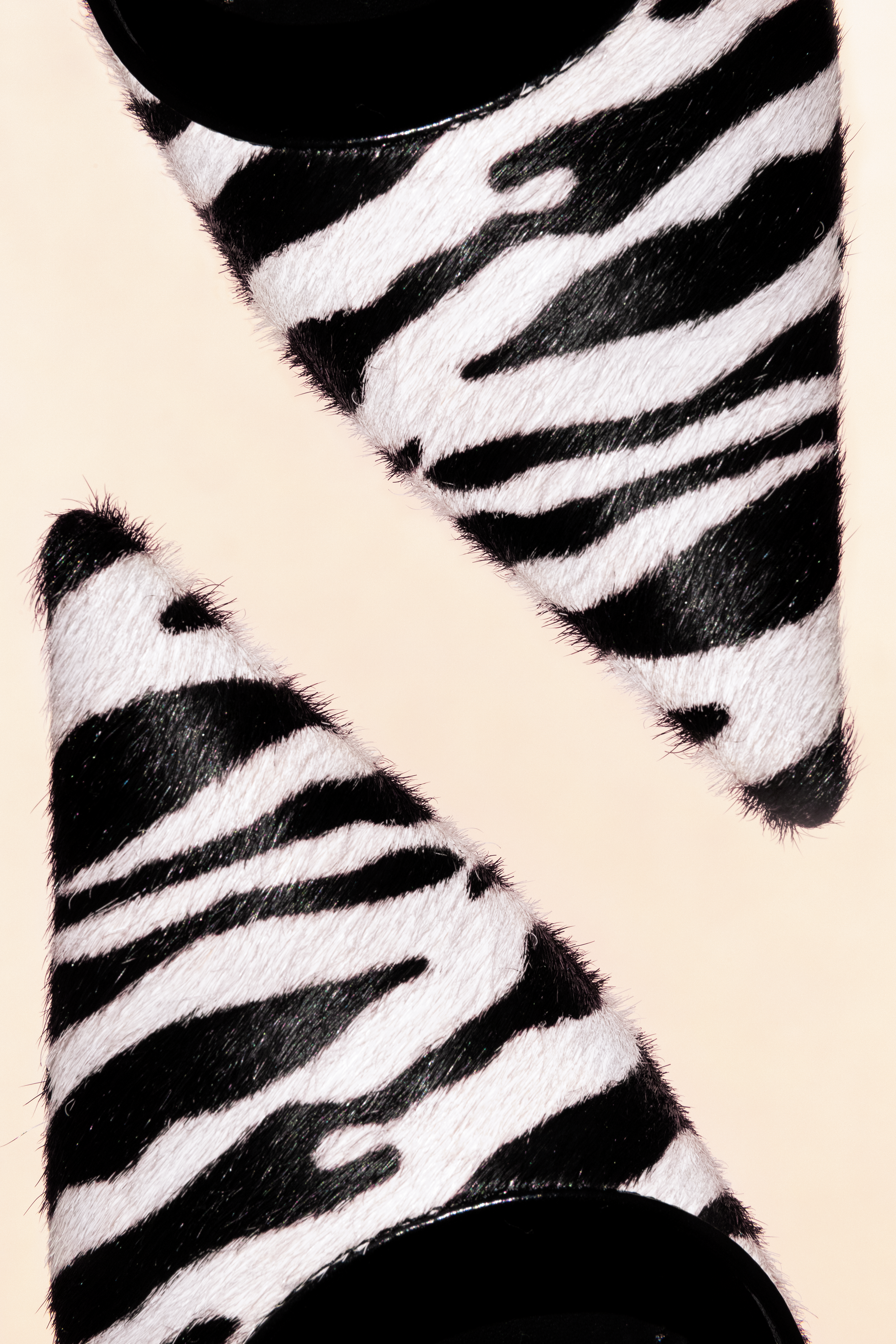 Zebra Pattern of Shoes · Free Stock Photo