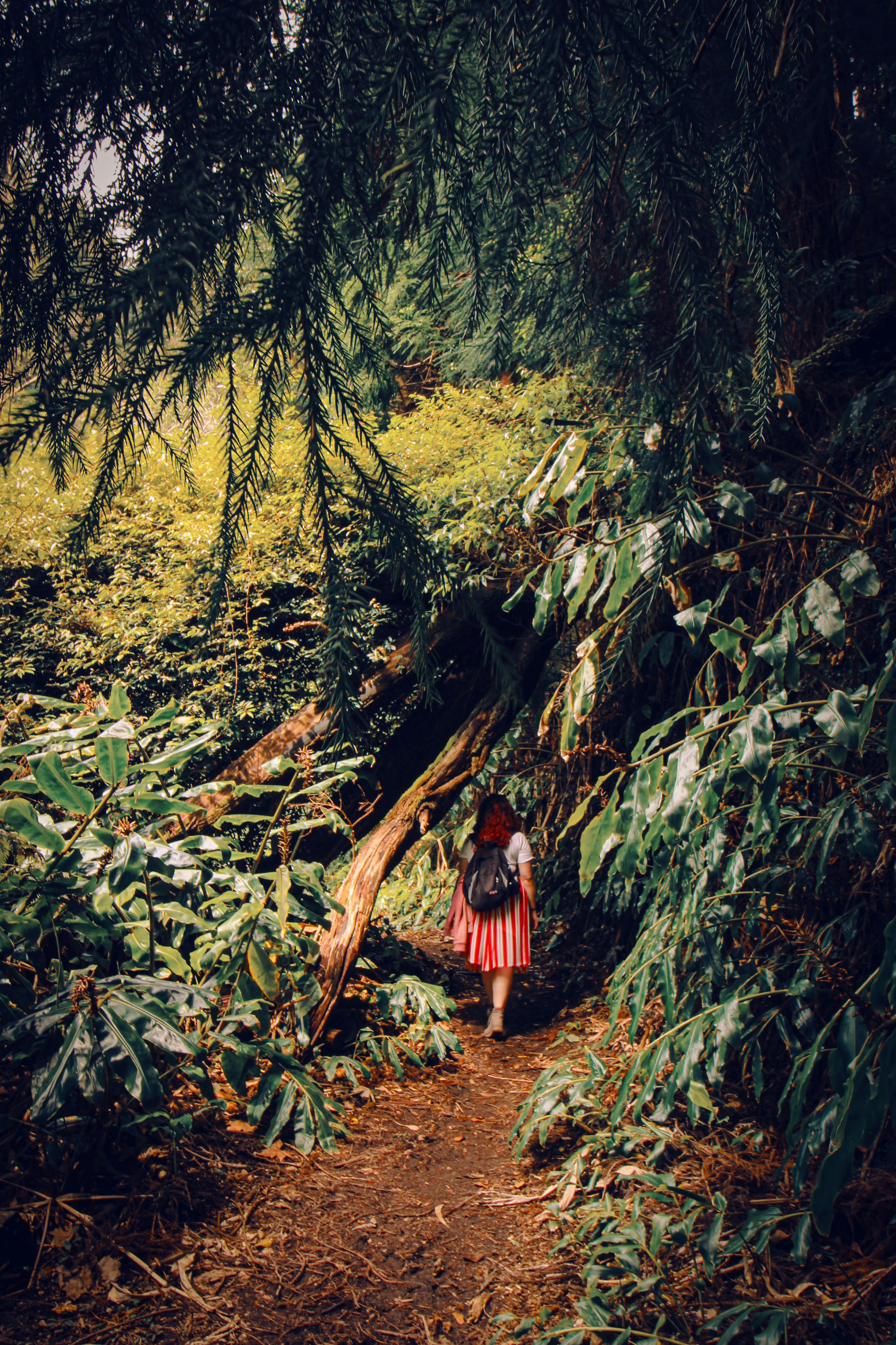 Woman Walking Under Trees · Free Stock Photo