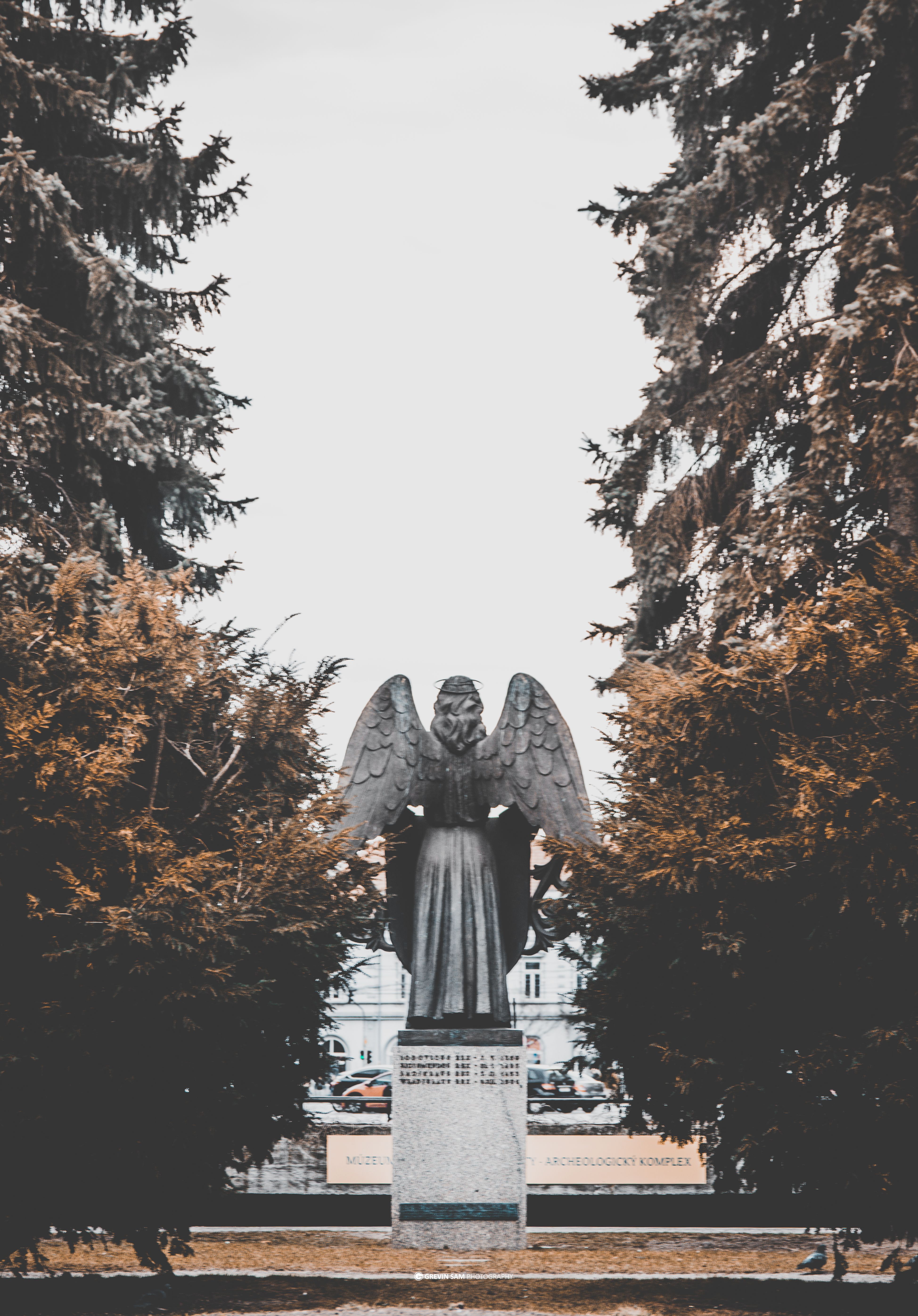 Angel Statue In Between Trees · Free Stock Photo