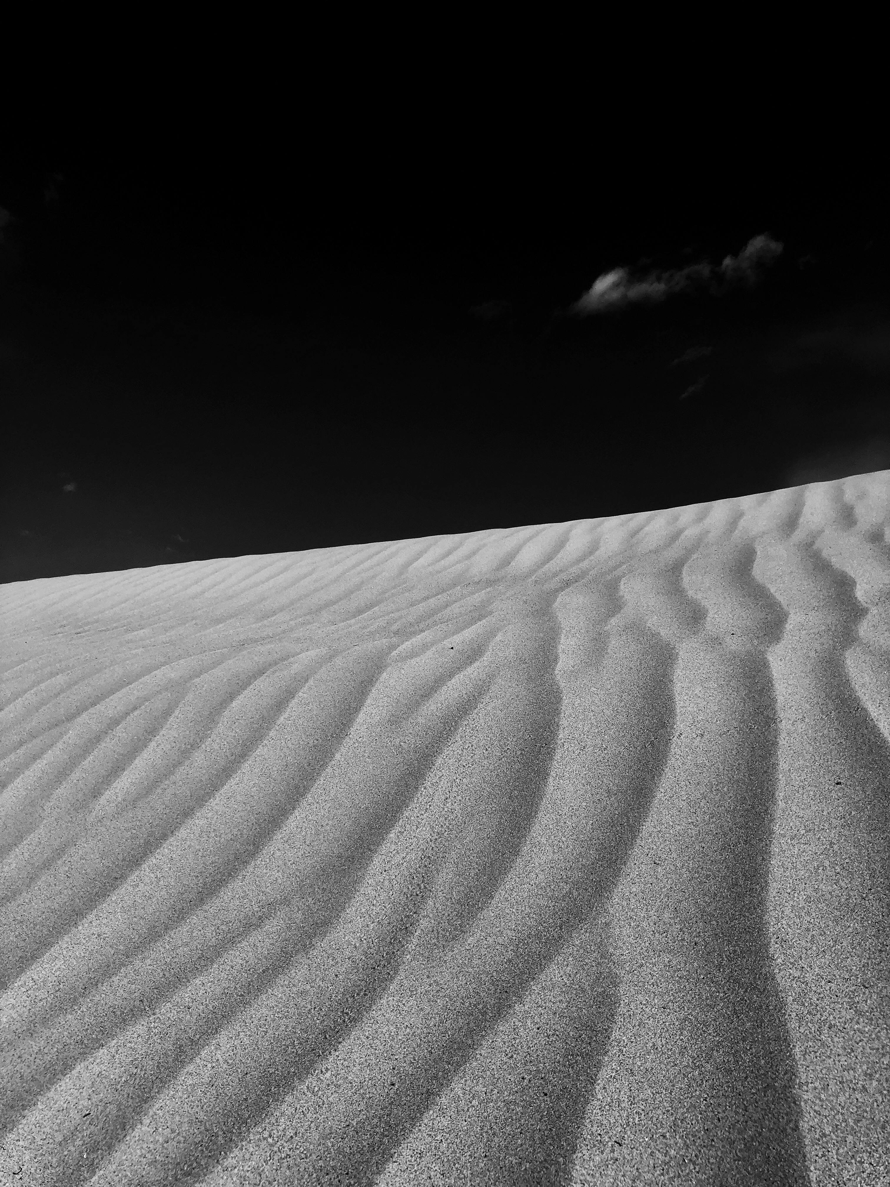 Black and White Photo of Sand in the Desert · Free Stock Photo