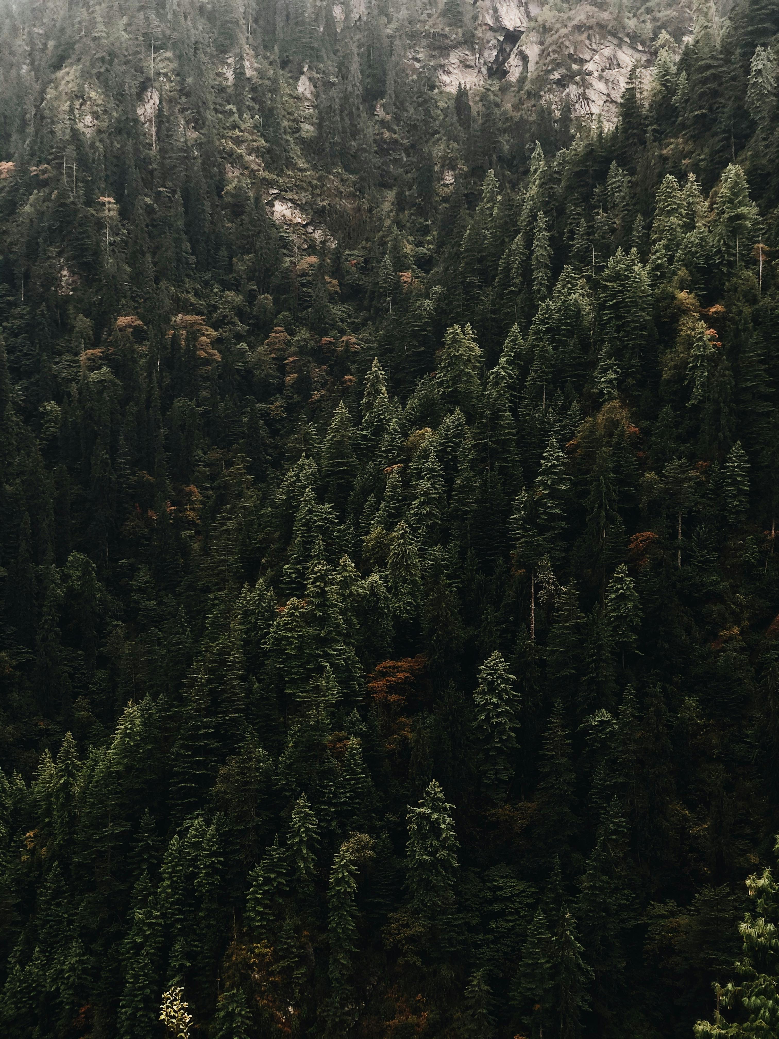 Mountains of lahul valley. · Free Stock Photo