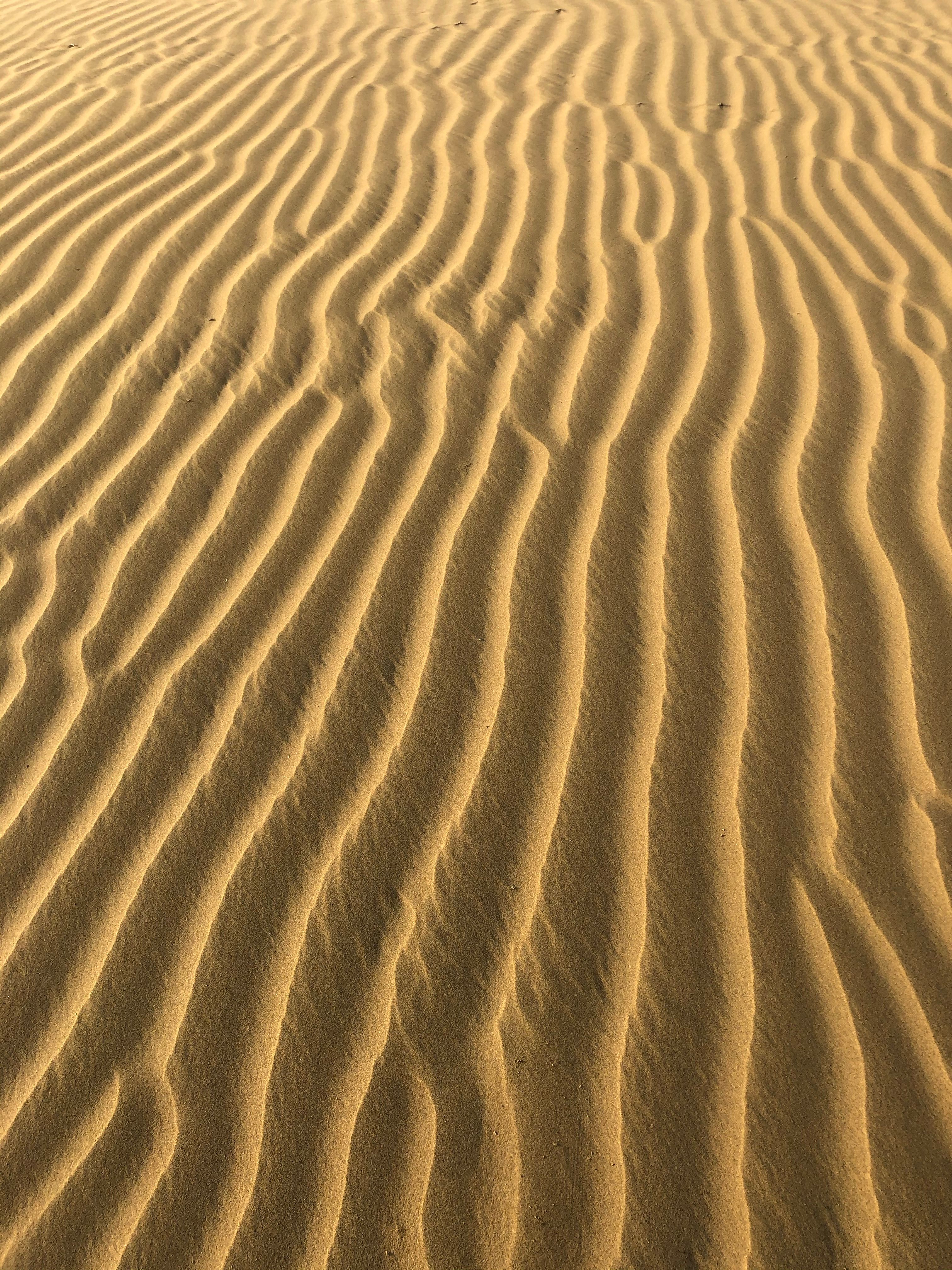 texture of sand · Free Stock Photo