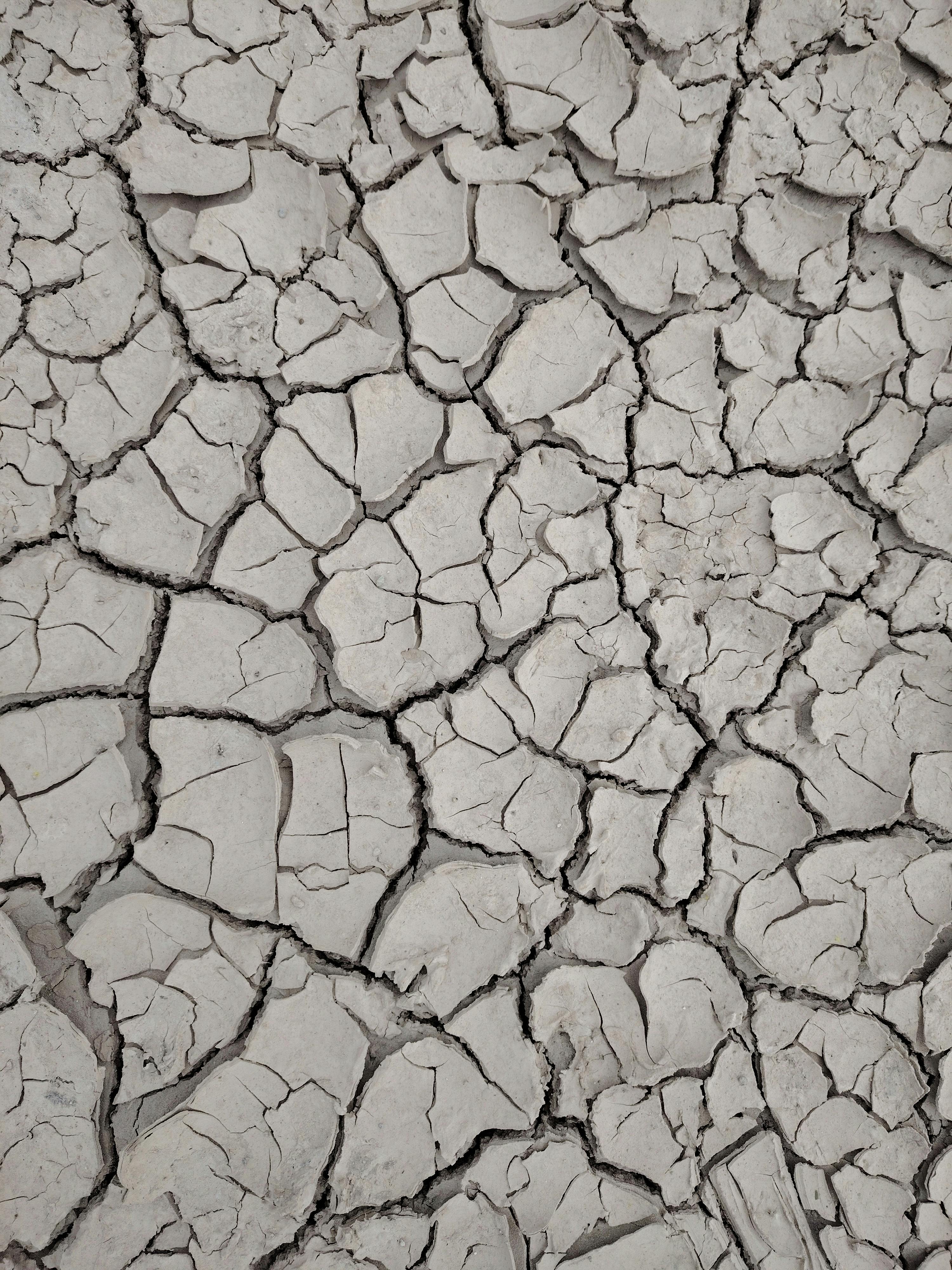 Predominantly Grey Photos, Download The BEST Free Predominantly Grey ...