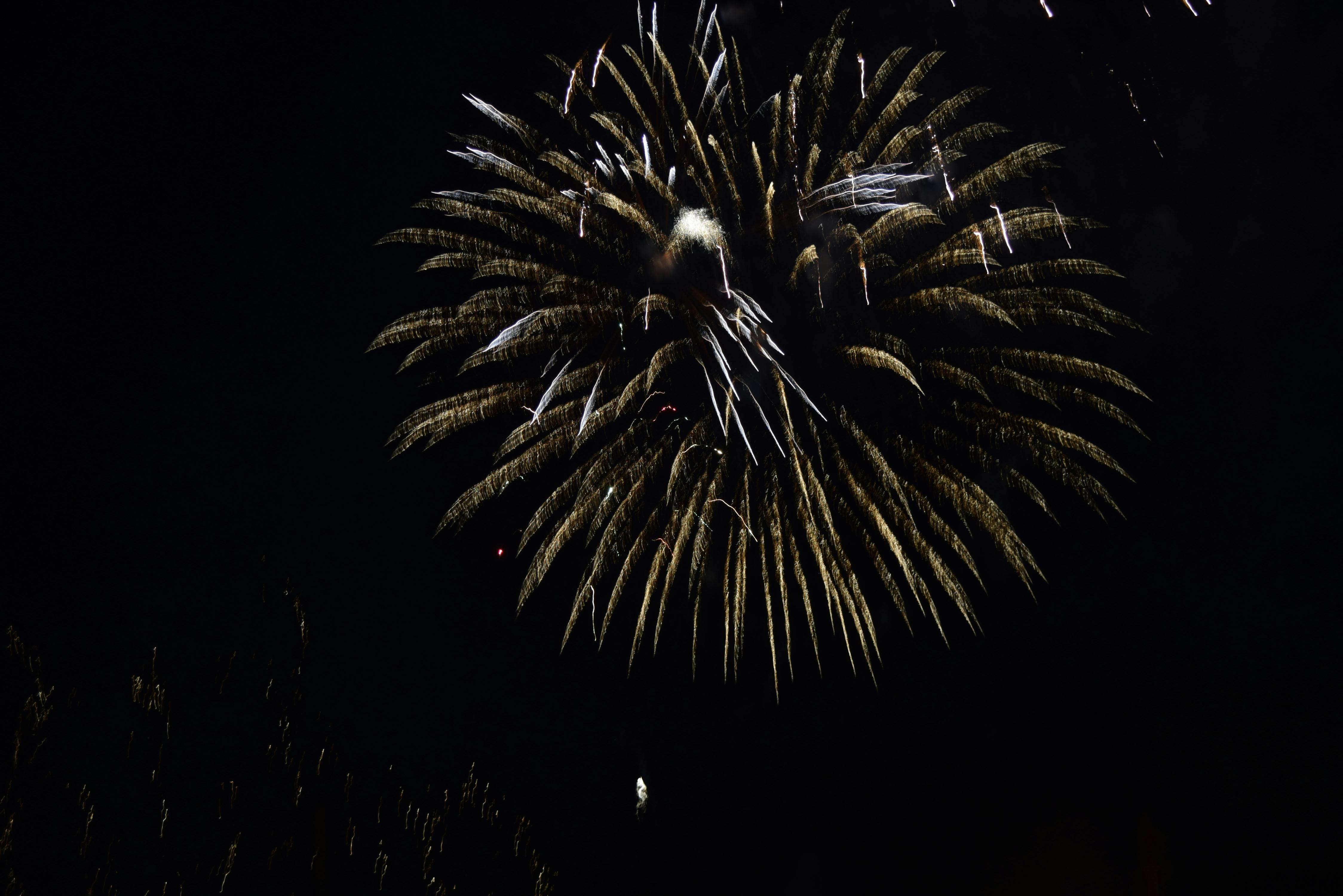 Fireworks Explosion in the Night Sky · Free Stock Photo