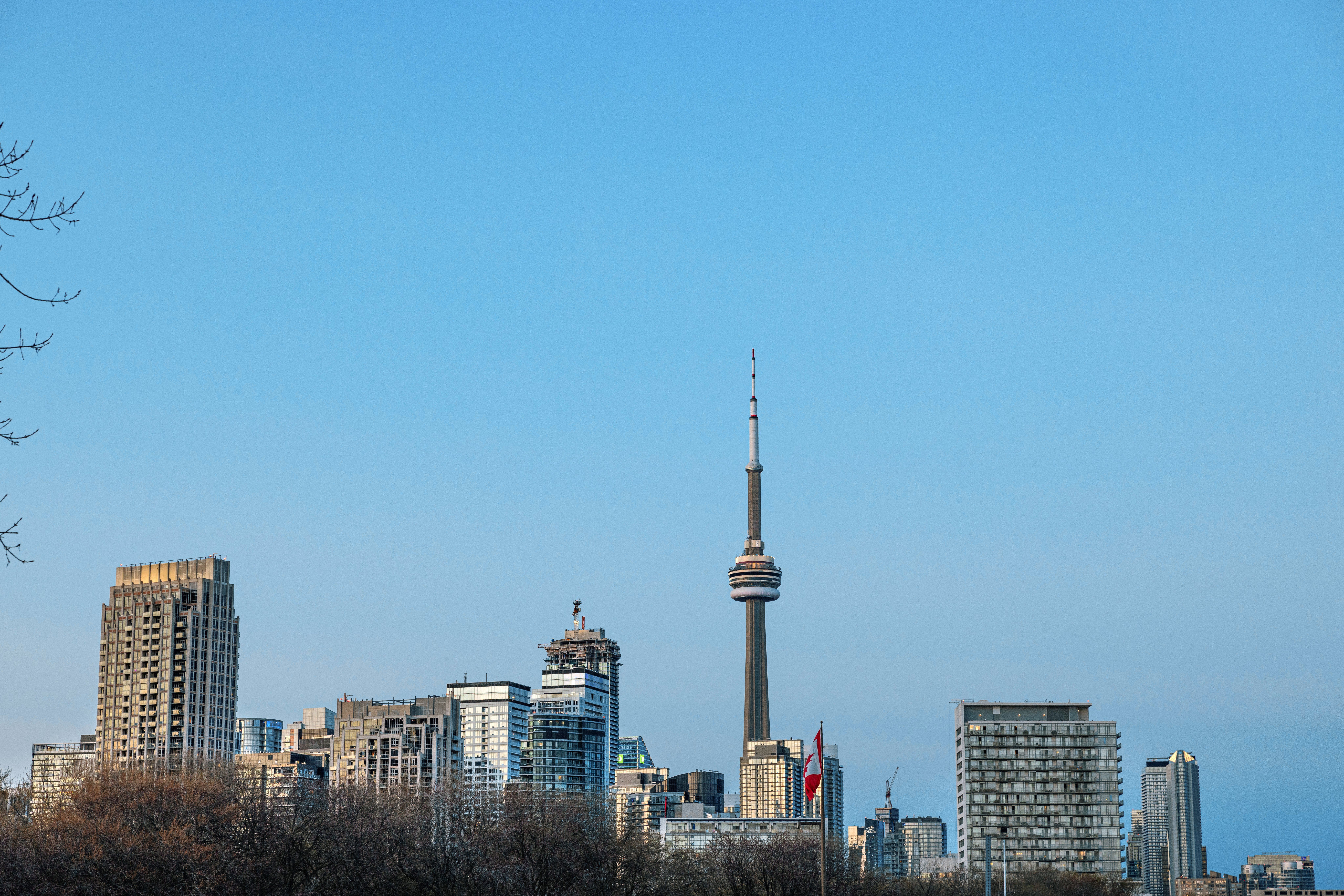 View of Toronto Skyline against a Clear, Blue Sky · Free Stock Photo