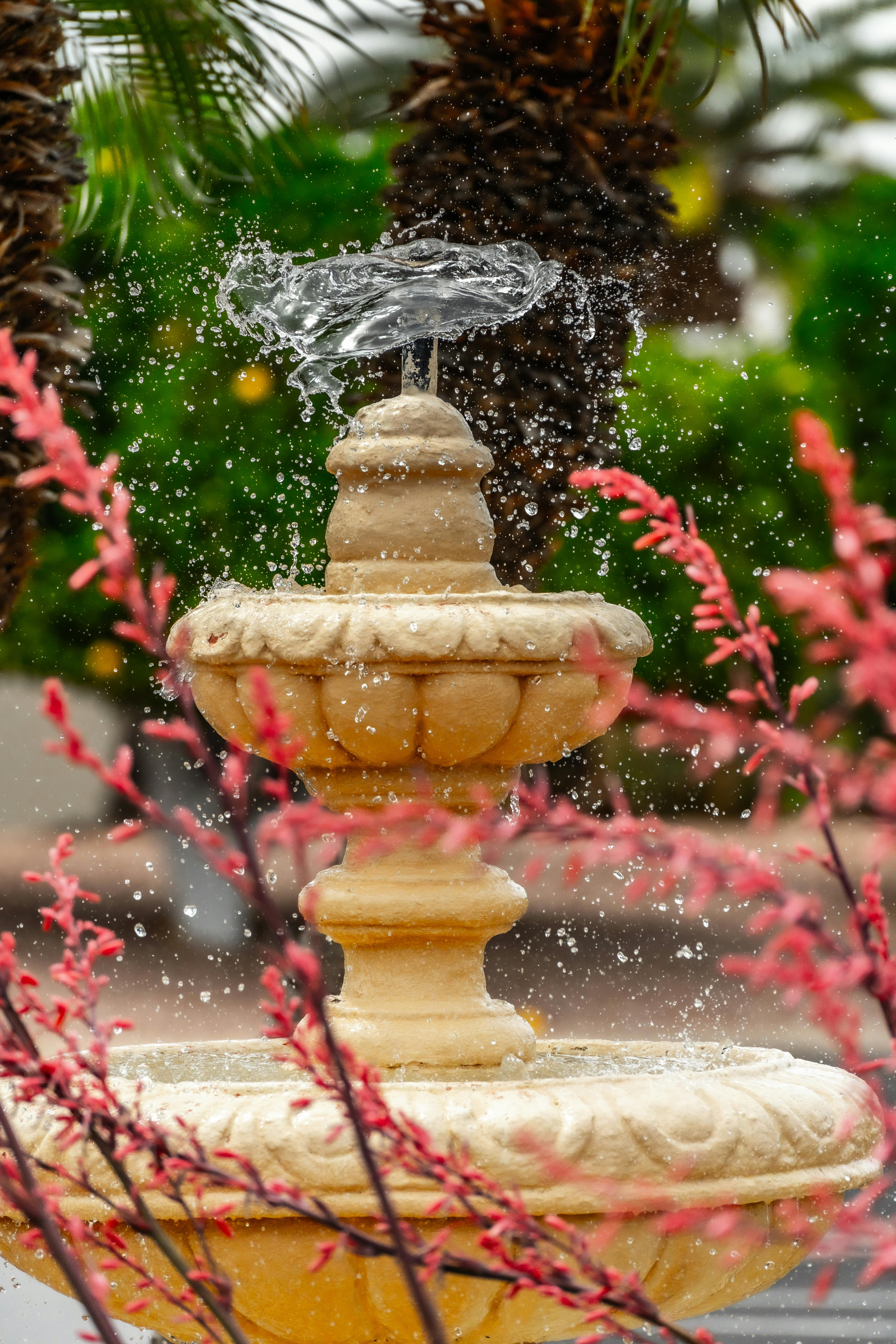 Water Fountain · Free Stock Photo