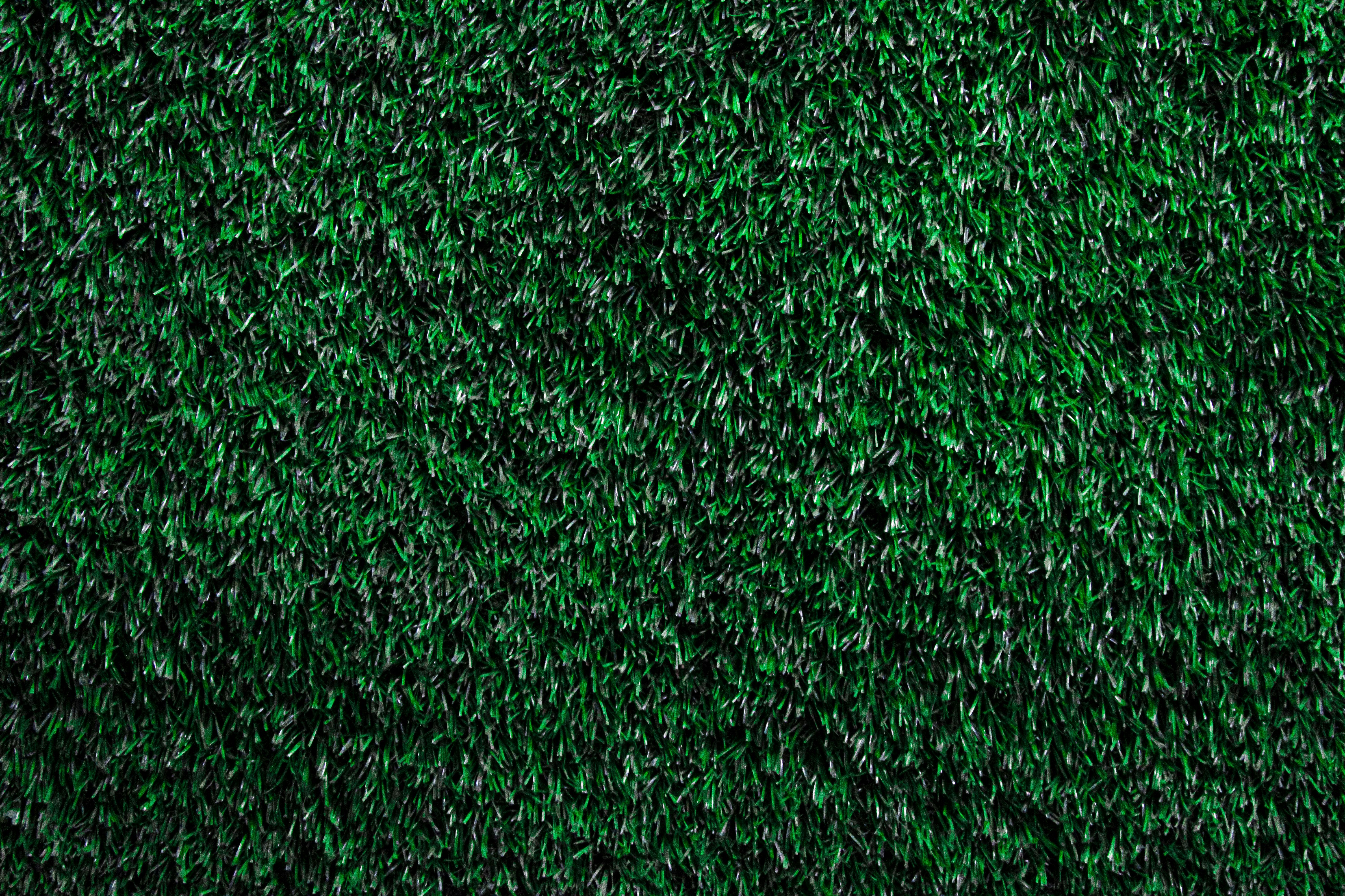 Dark Green Rough Surface · Free Stock Photo
