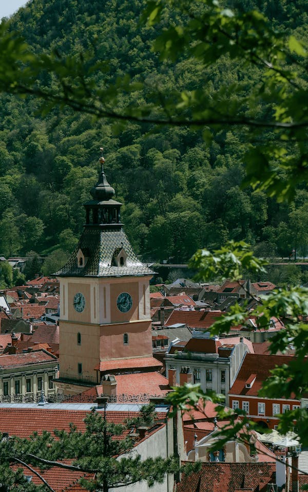 Transylvania Photos, Download The BEST Free Transylvania Stock Photos ...