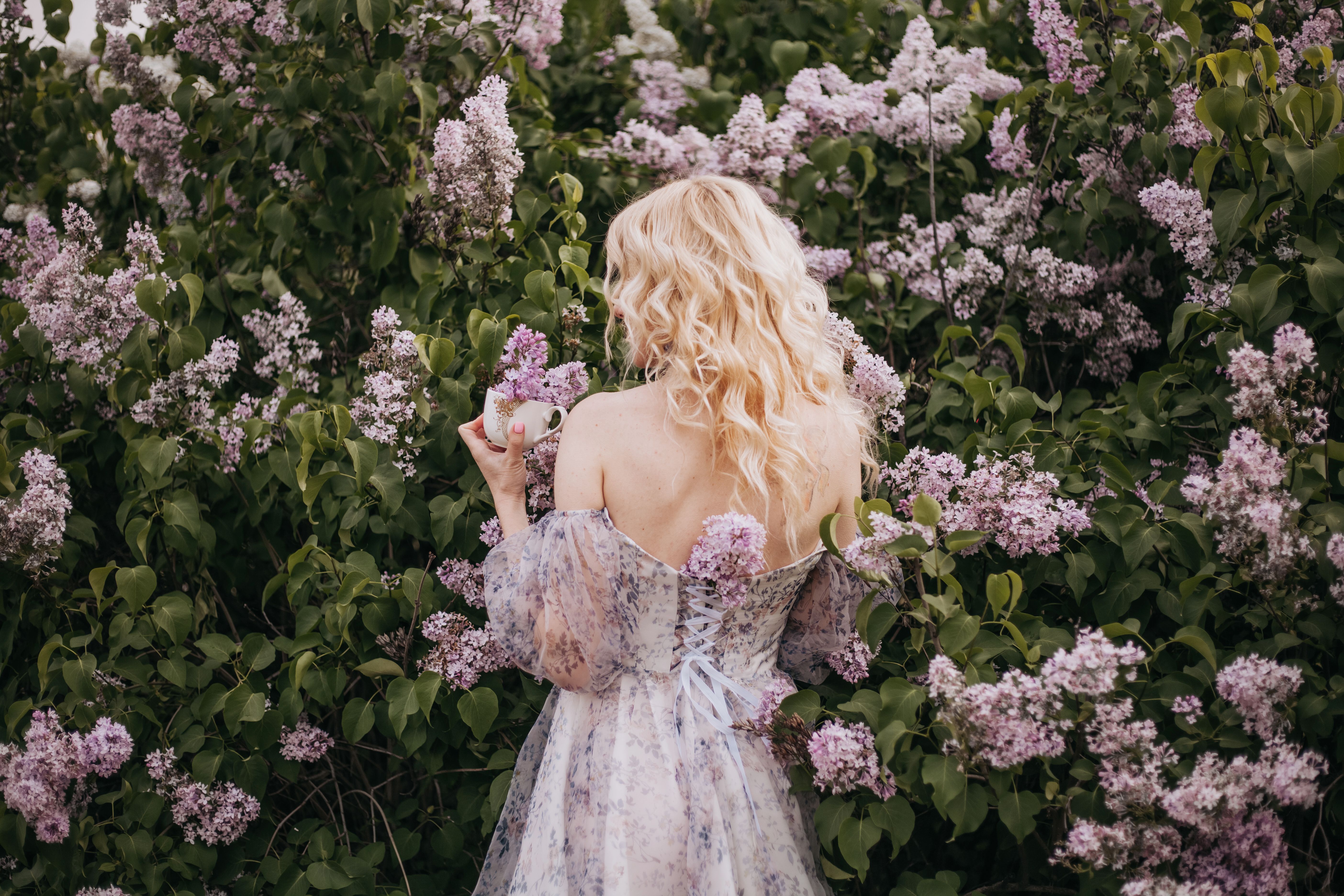 Back View of Blonde Woman in Sundress Standing by Bush Purple Flowers ...