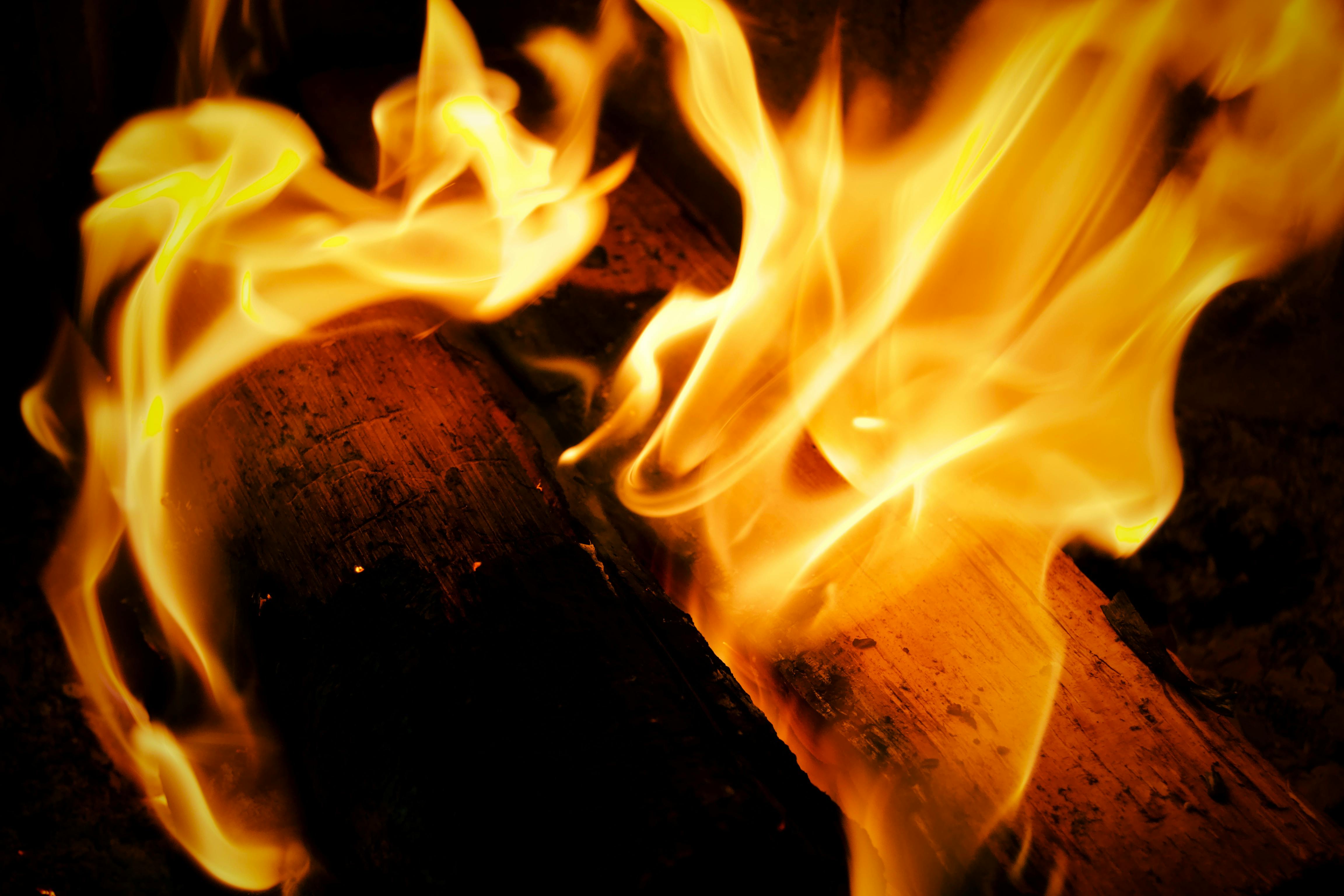 Close-up of Wood Burning · Free Stock Photo