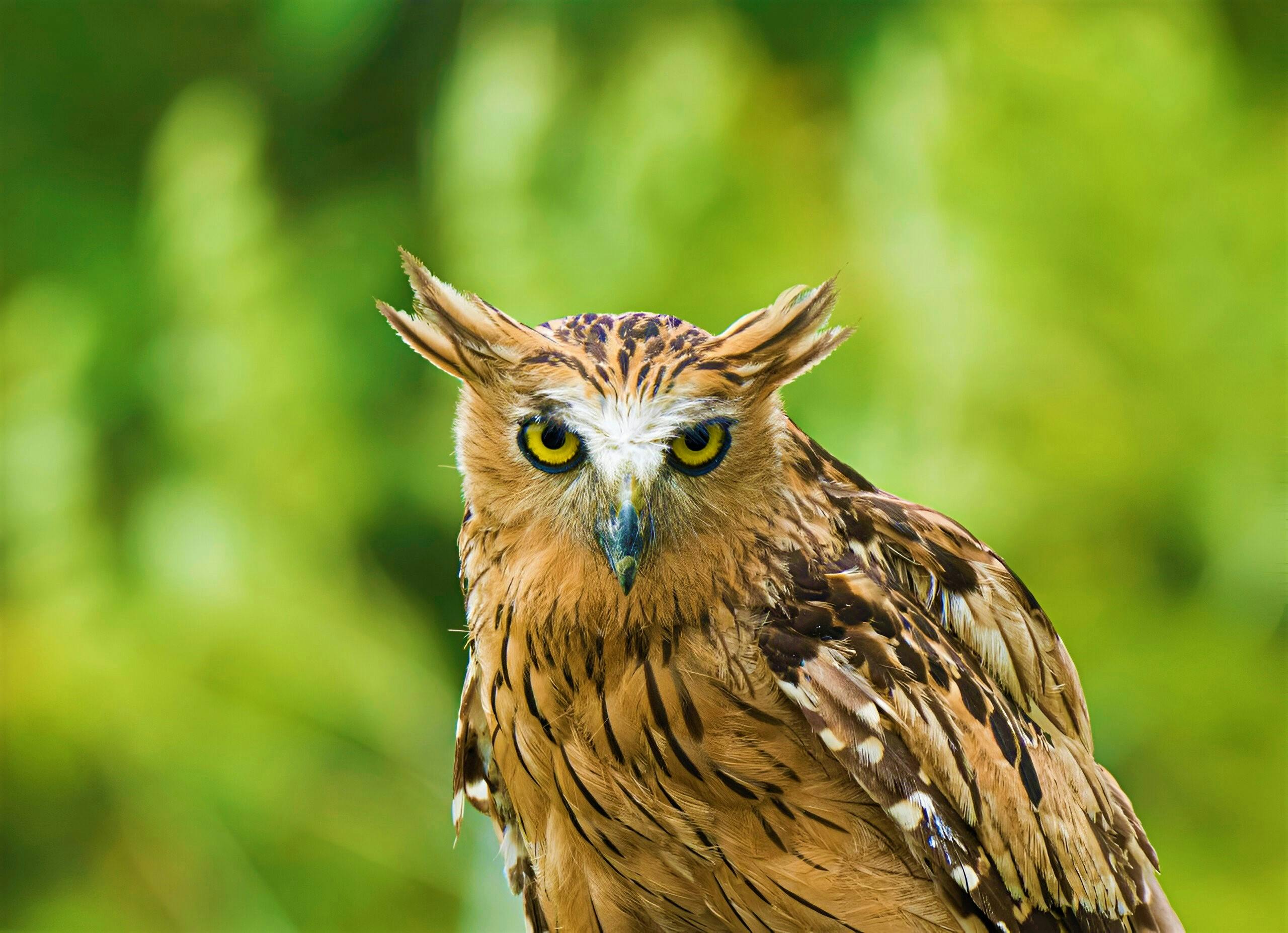 12k Wallpaper Nature Photos, Download The BEST Free 12k Wallpaper ...