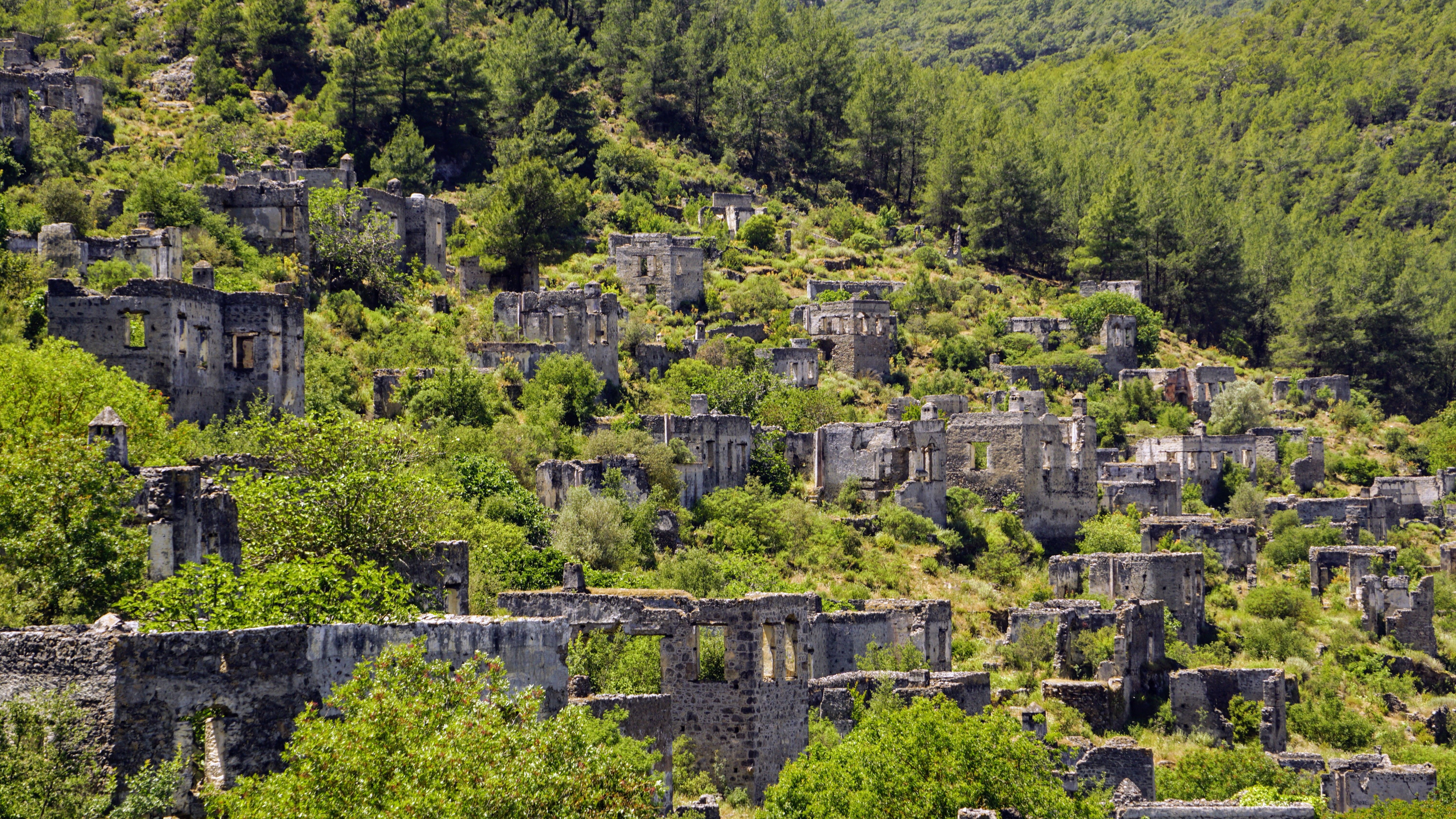 Ruins of Buildings in Forest · Free Stock Photo