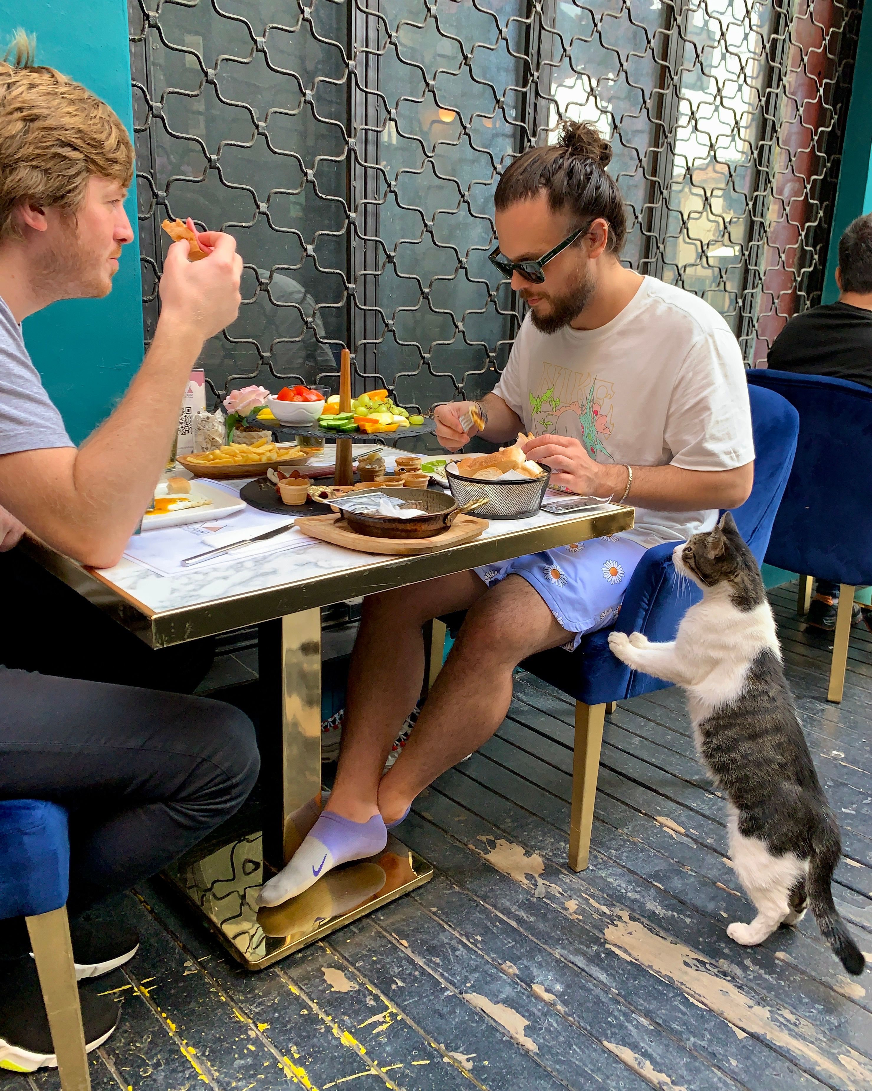 Cat Looking at the Two Men Eating Lunch in a Restaurant · Free Stock Photo