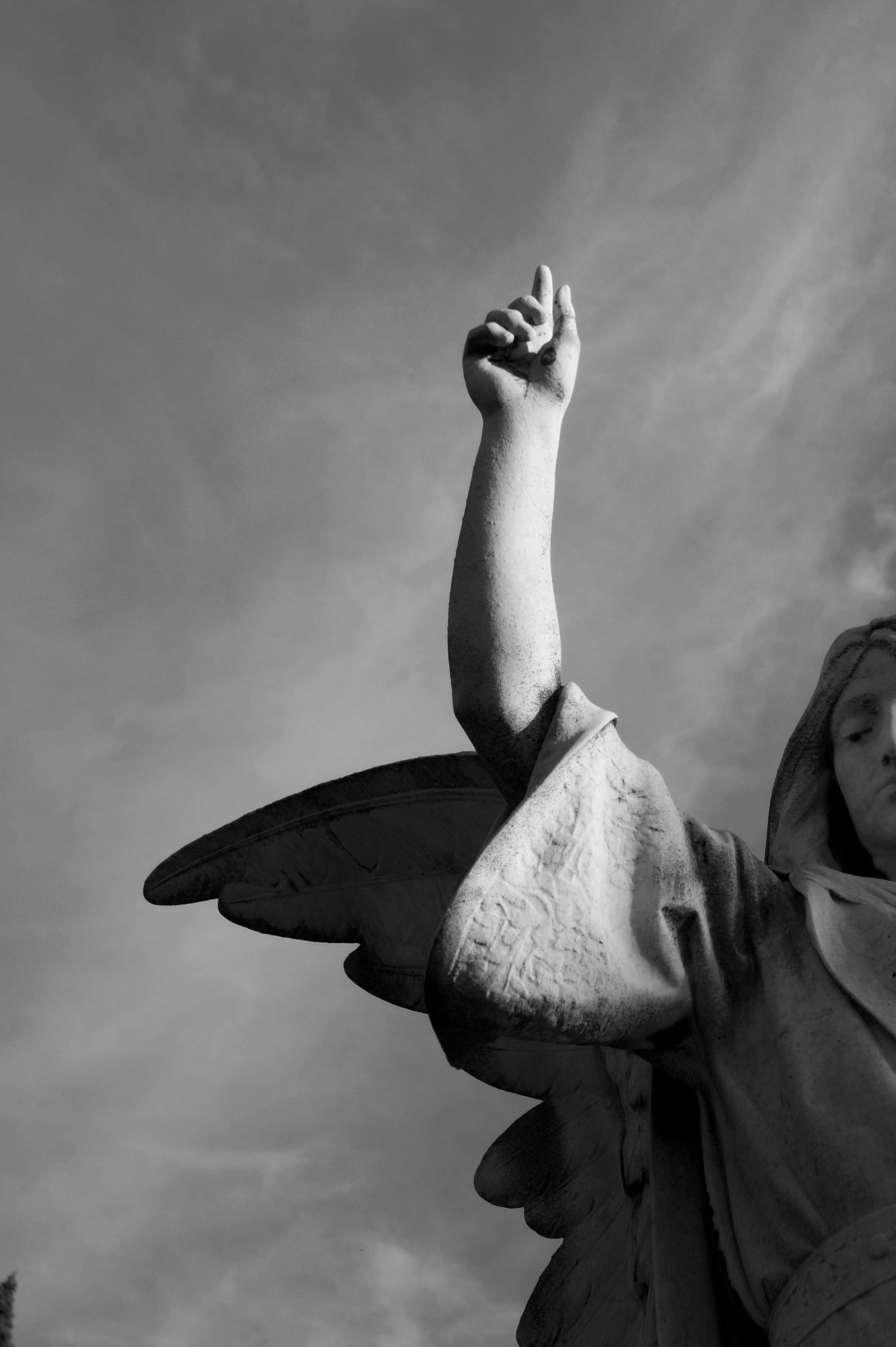 Black and White Photography of the Raised Hand of an Angel · Free Stock ...
