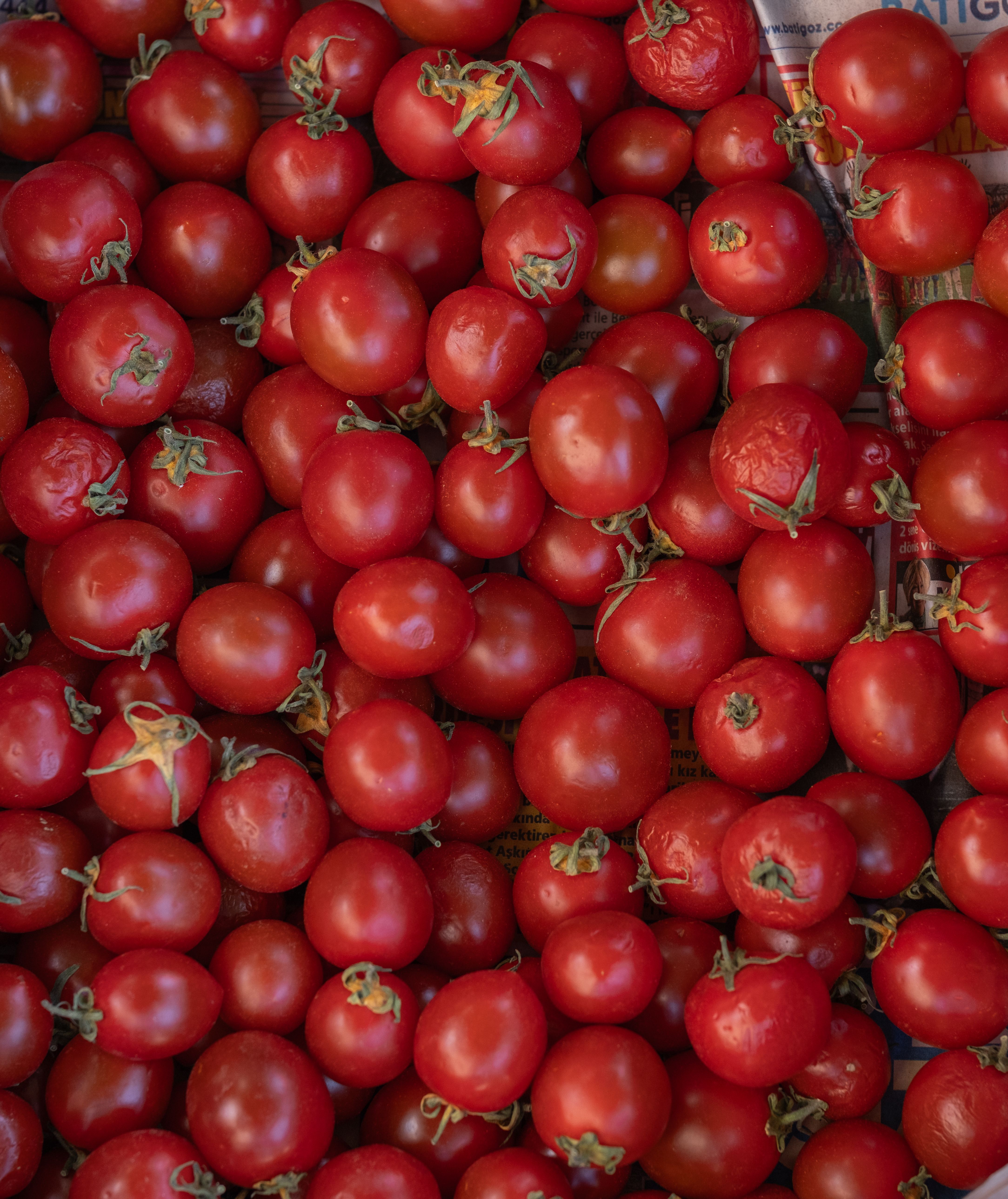 Abundance of Red Tomatoes · Free Stock Photo