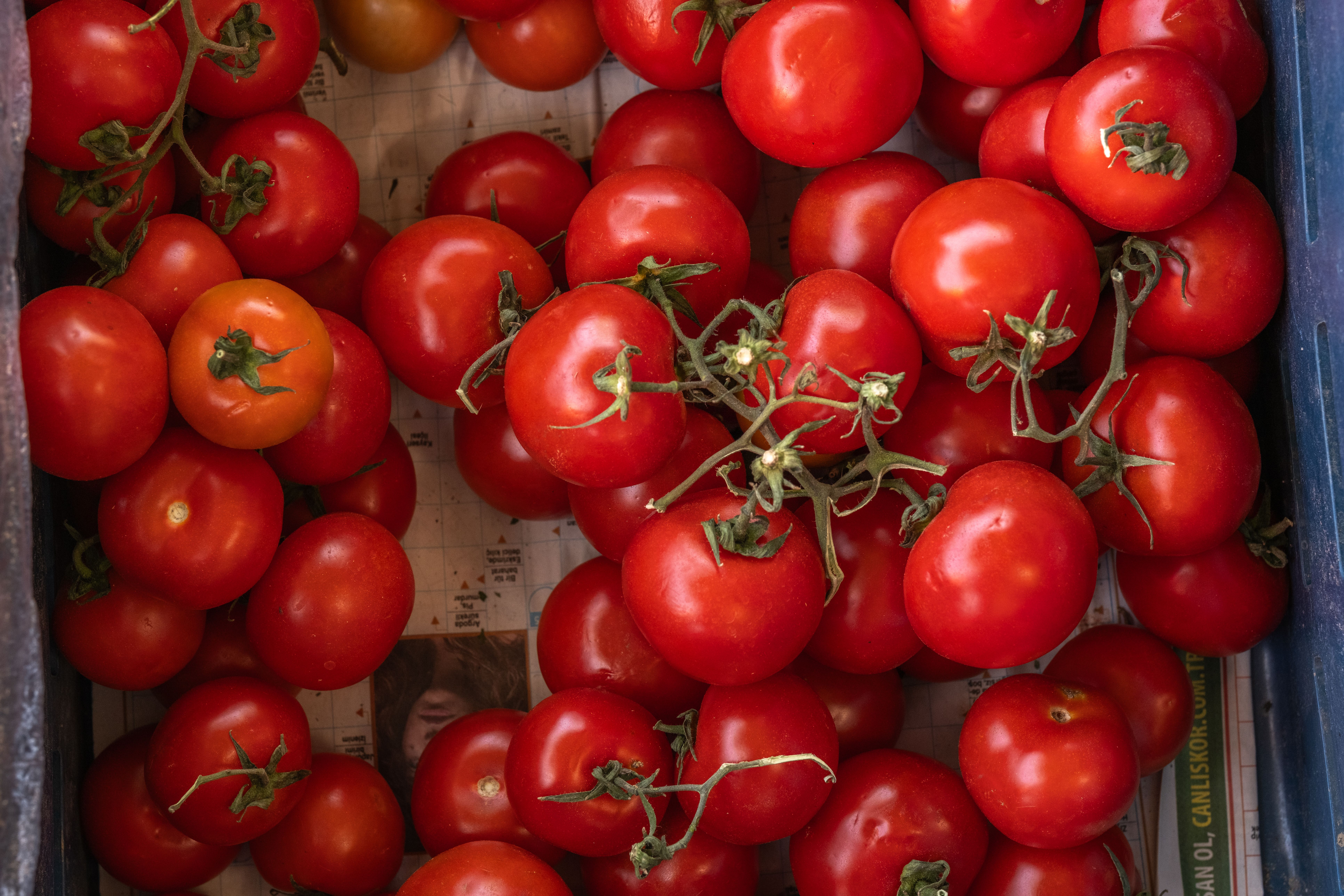A close up of a crate full of tomatoes · Free Stock Photo