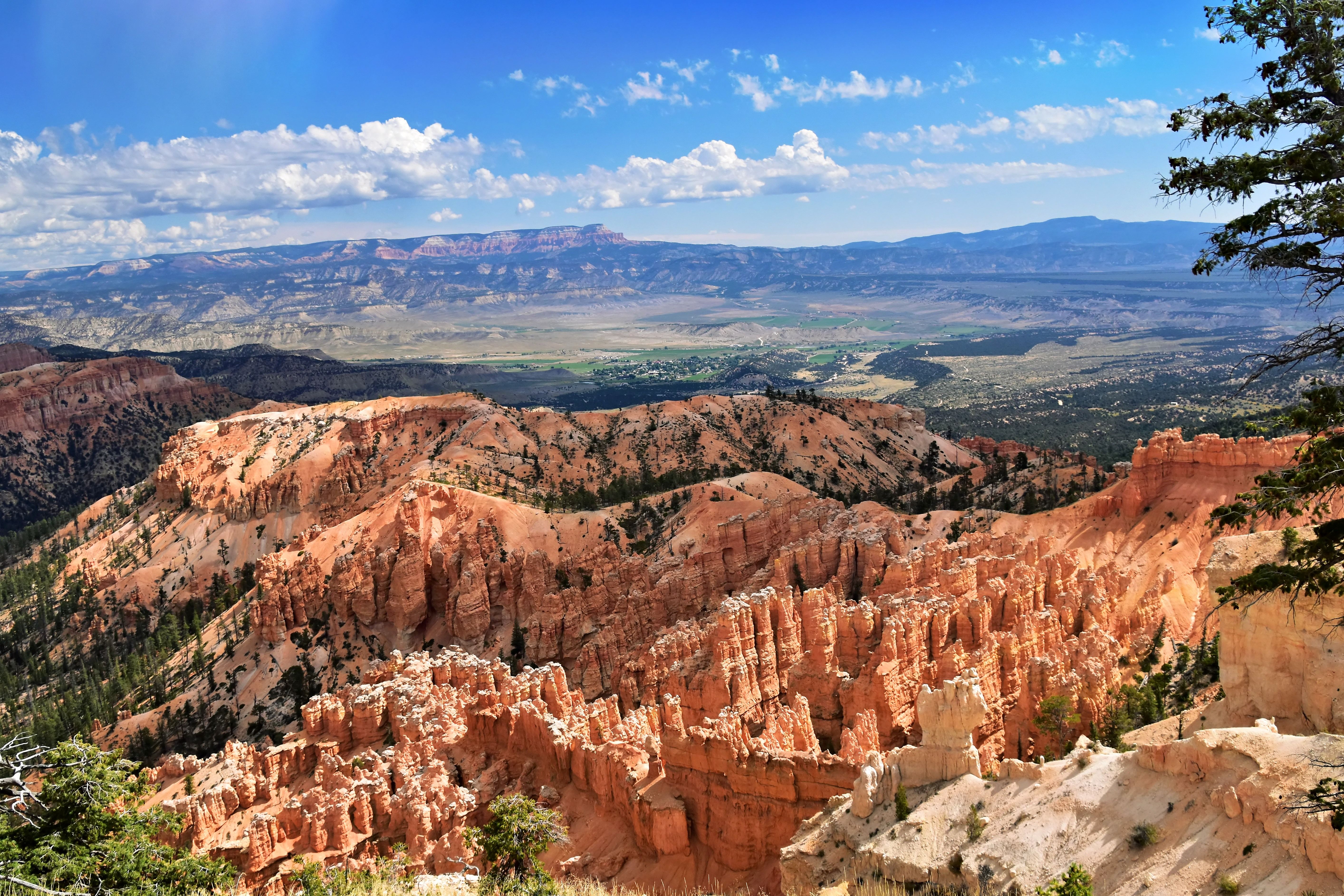 Sandstone Hoodoos of Bryce Canyon National Park · Free Stock Photo