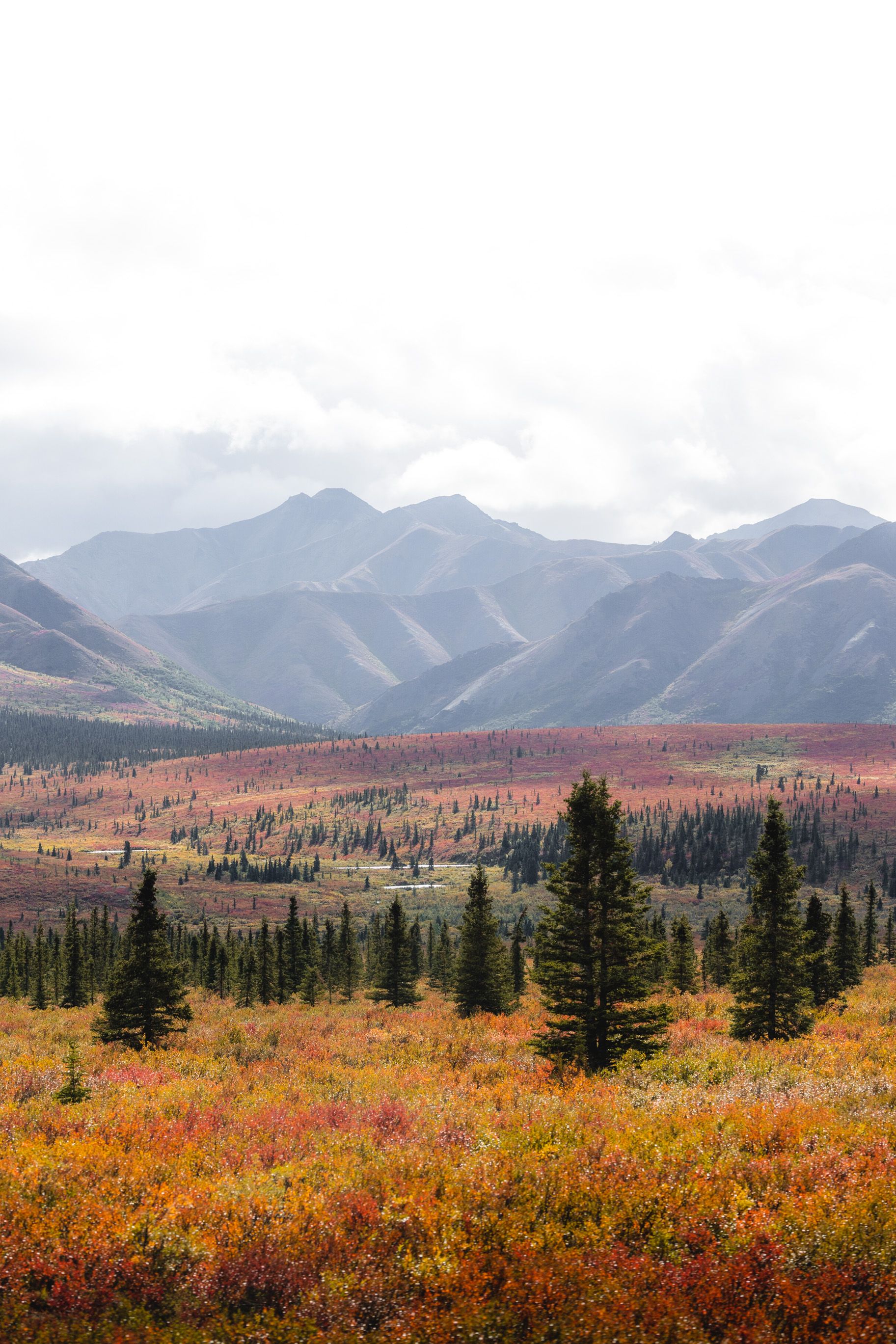Foto de stock gratuita sobre al aire libre, alaska, alpino, américa del ...