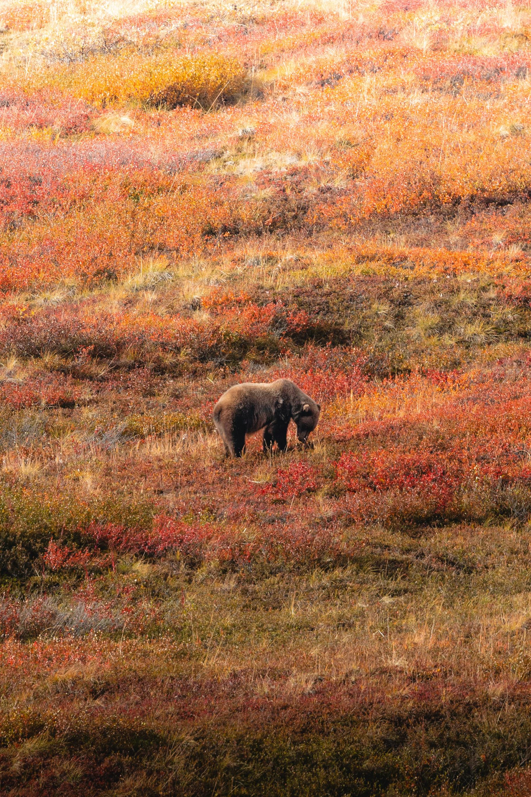 September Scenes Landscape Photos, Download The BEST Free September ...