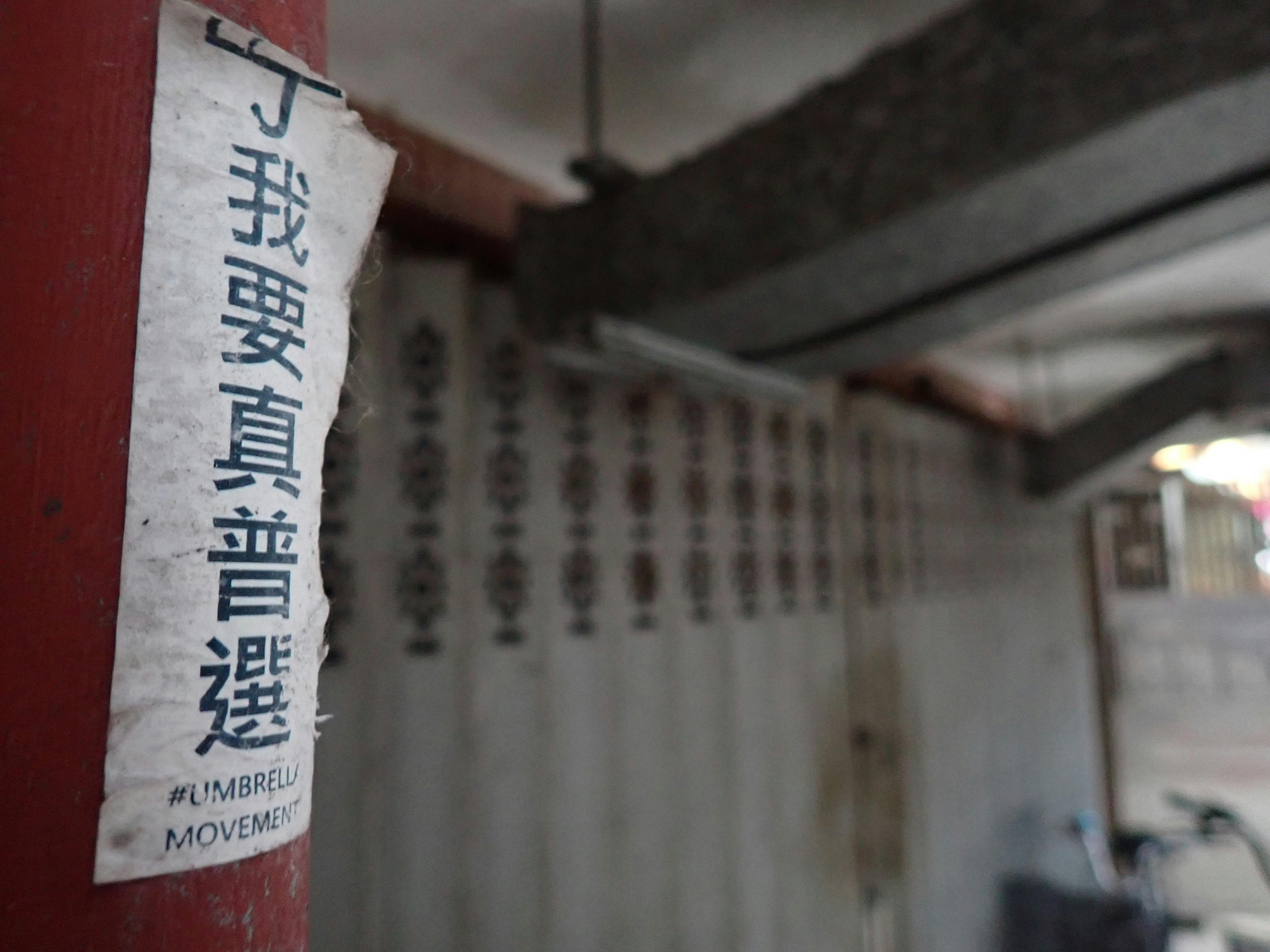 terry narcissan tsui - 사진