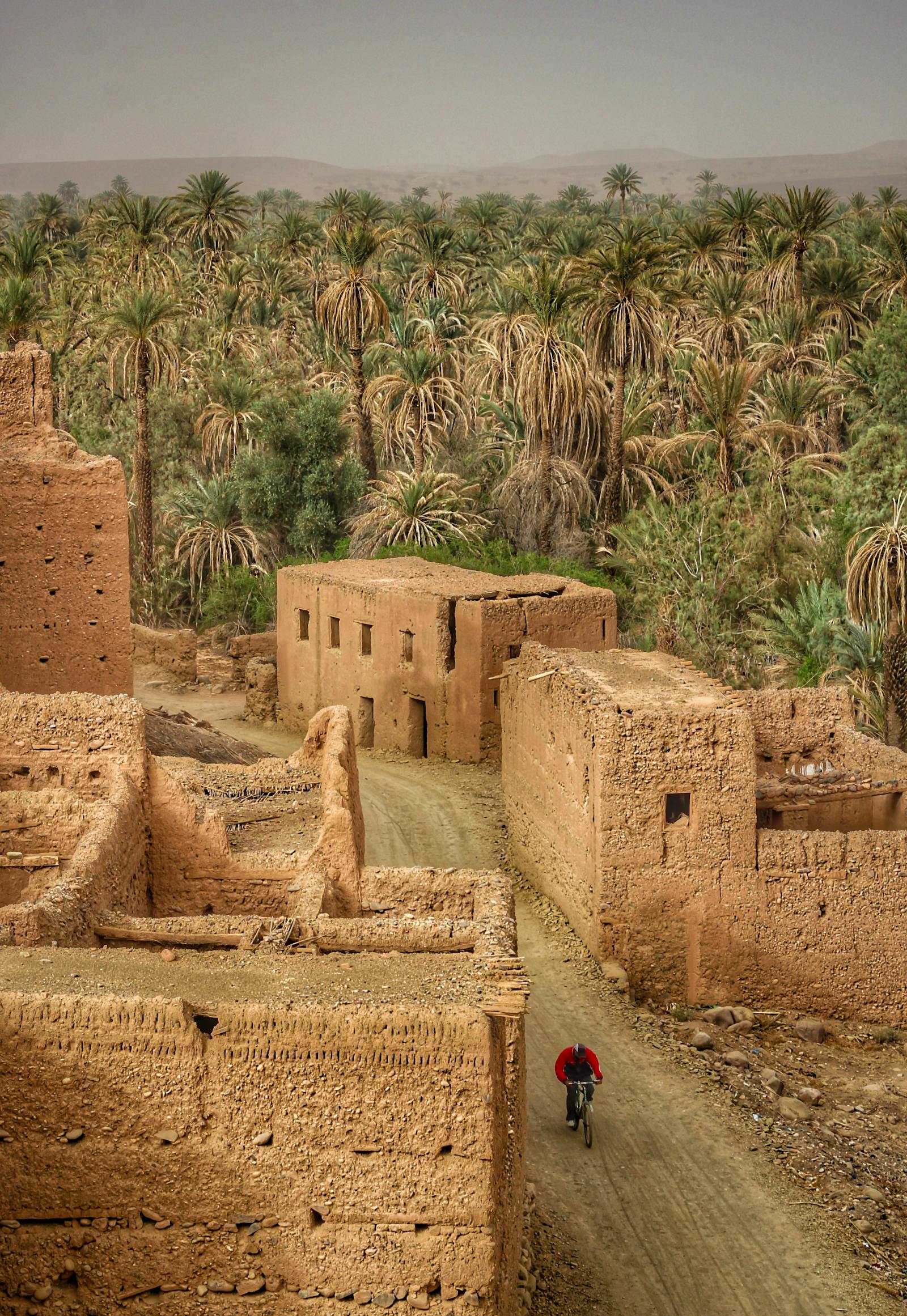 Adobe Photos, Download The BEST Free Adobe Stock Photos & HD Images