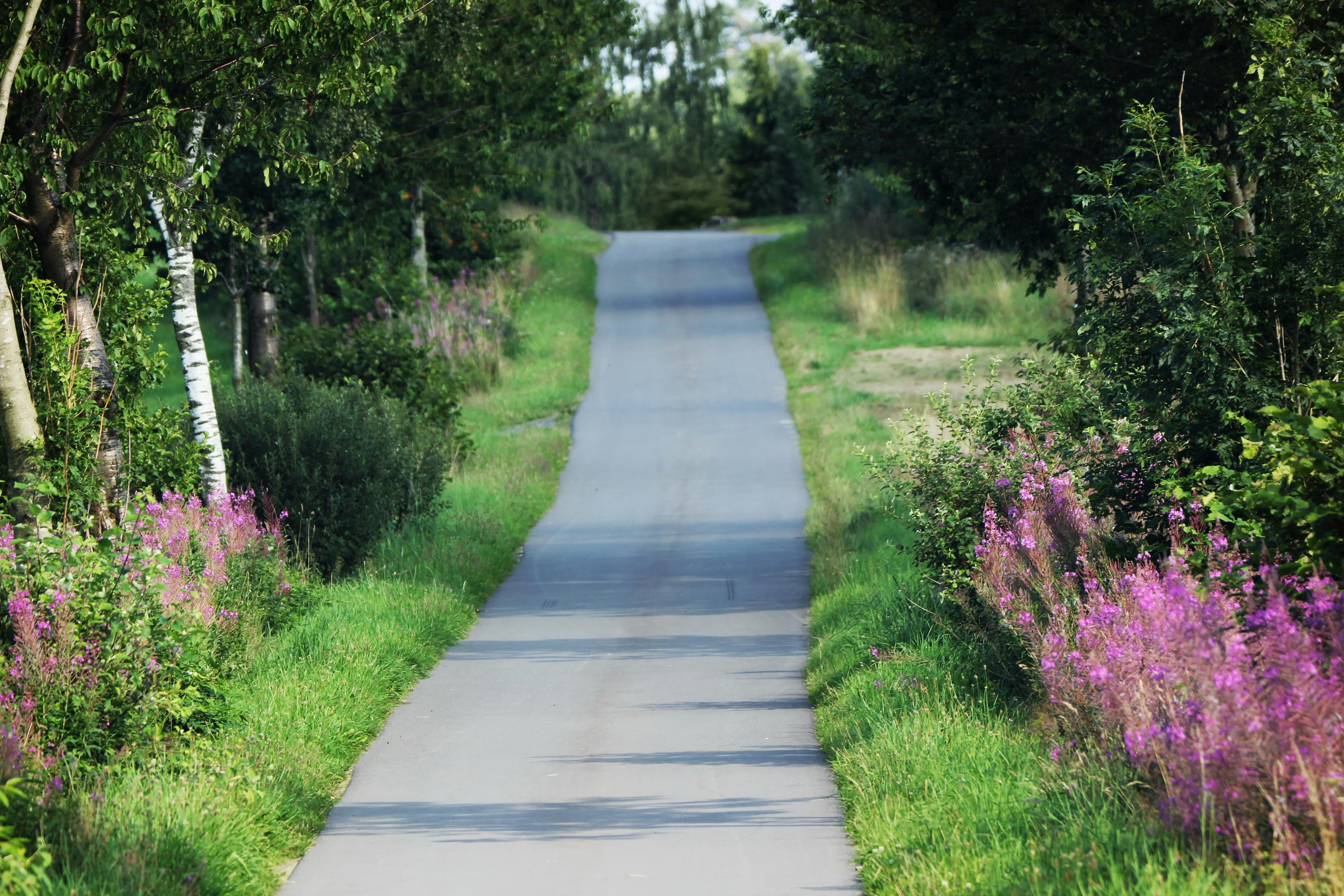 Road And Footpaths Photos, Download The BEST Free Road And Footpaths ...