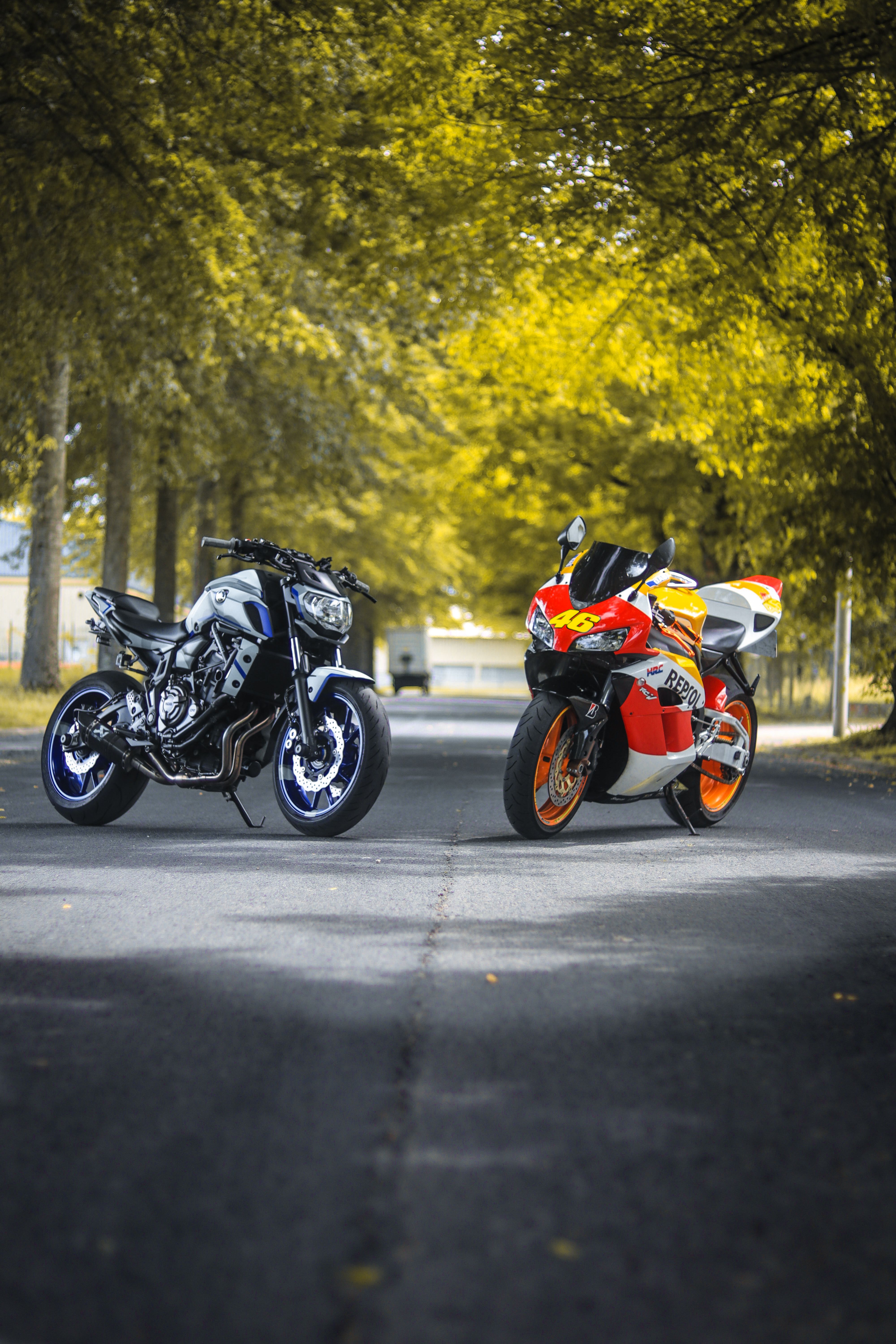 Motorcycles Parked on Road under Trees · Free Stock Photo