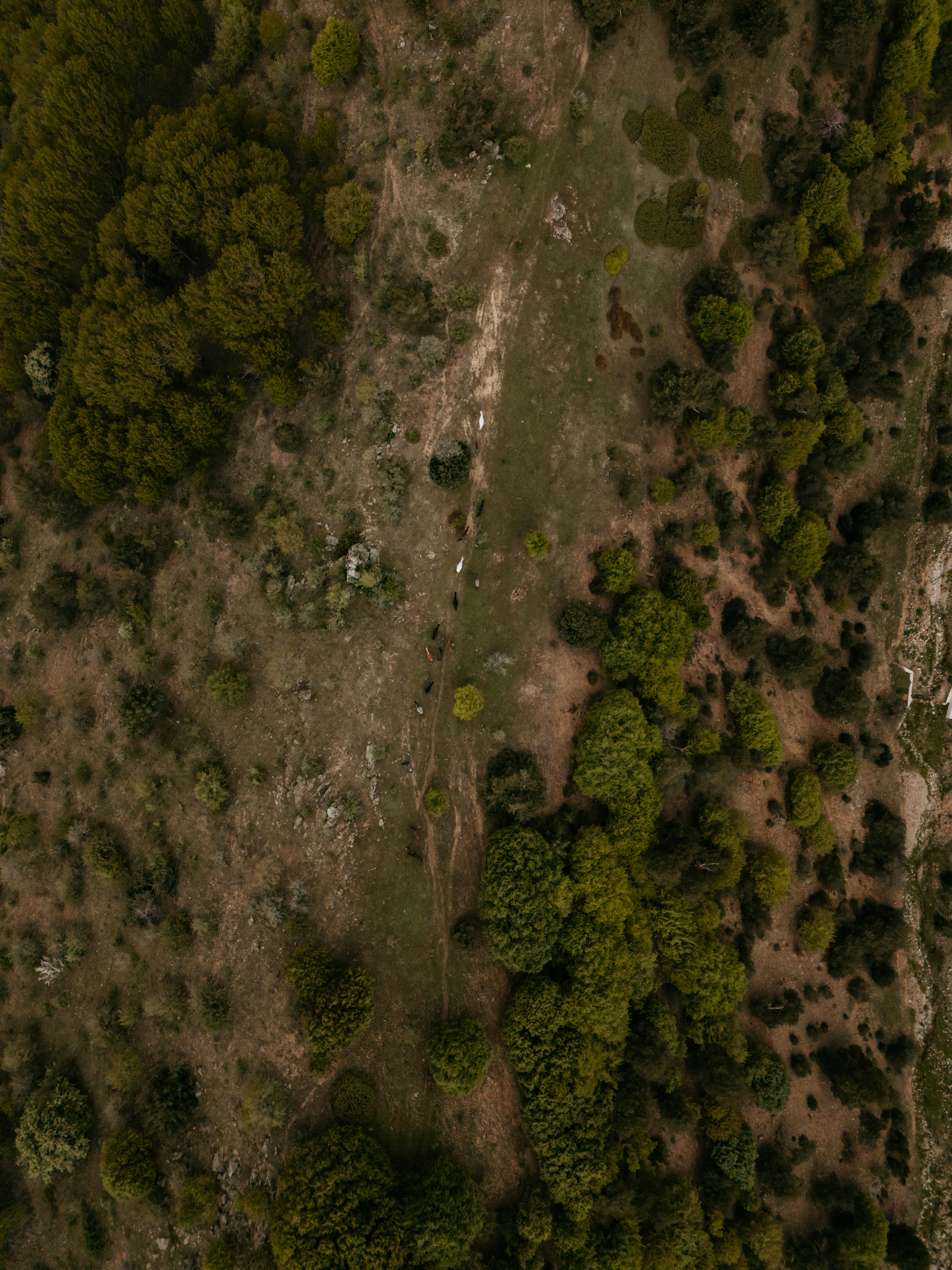 Top View of Pathway on Small Mountain Range · Free Stock Photo