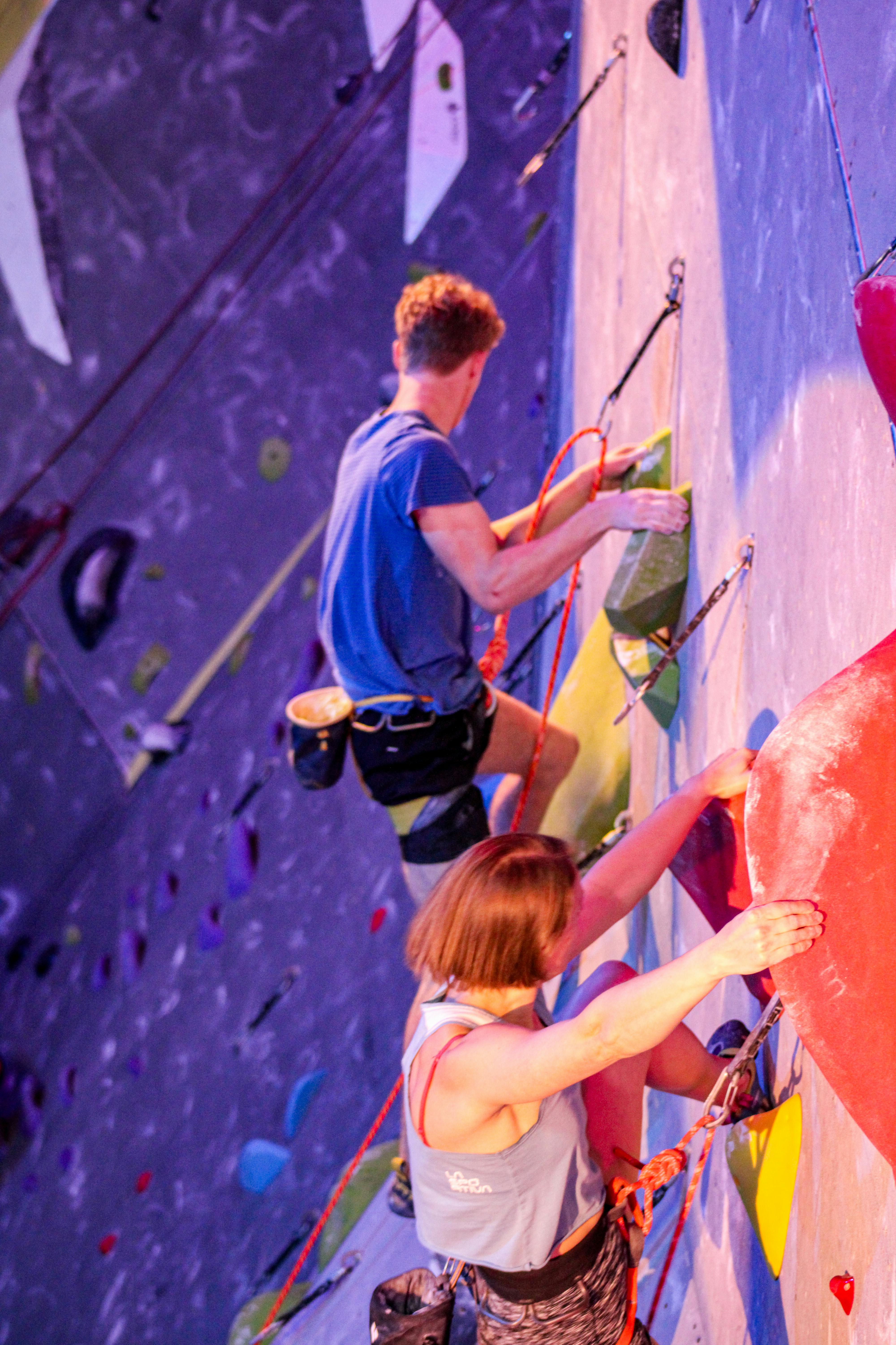 cuzin · Free Stock Photo