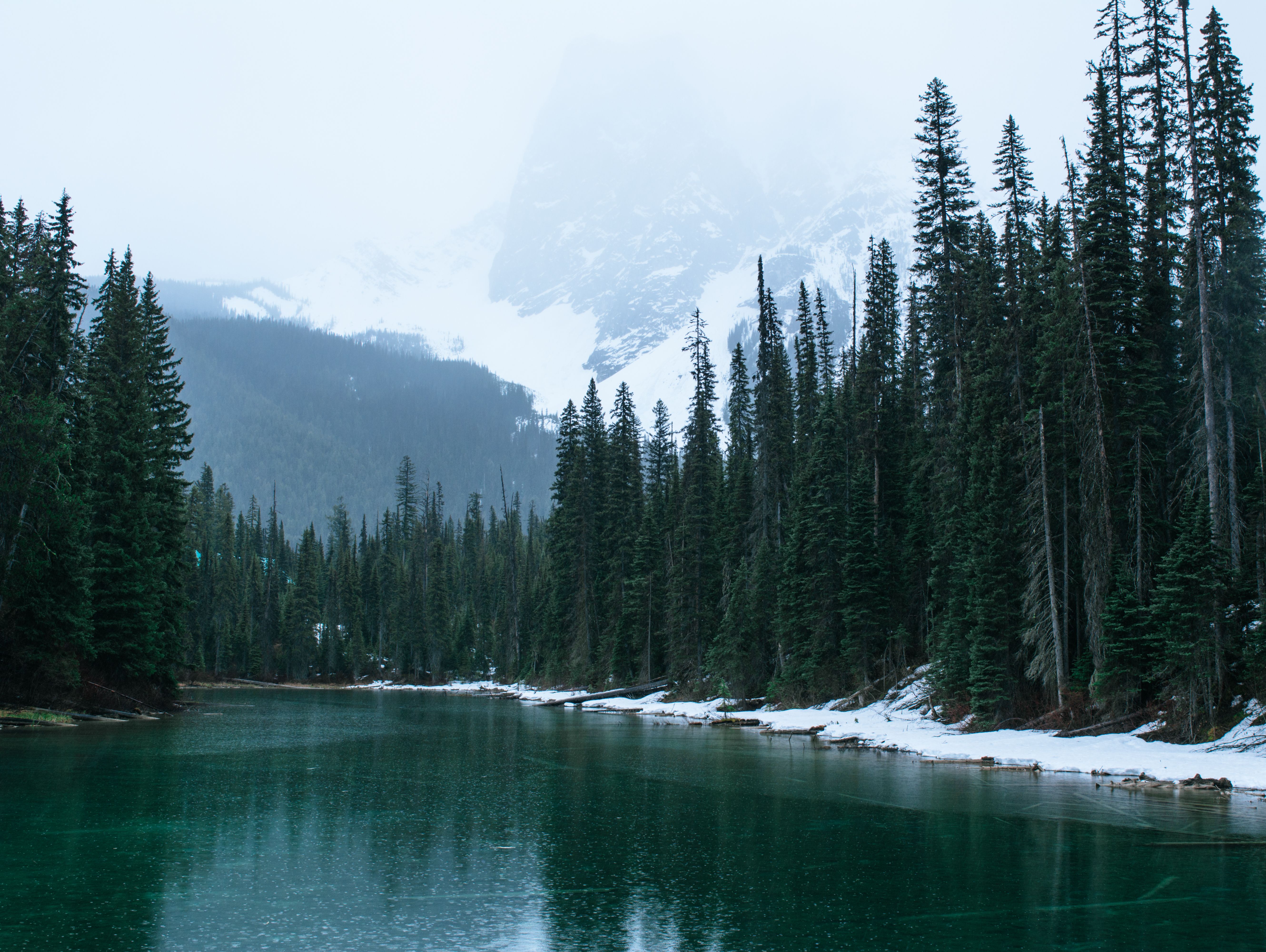 Scenic View Of Lake · Free Stock Photo
