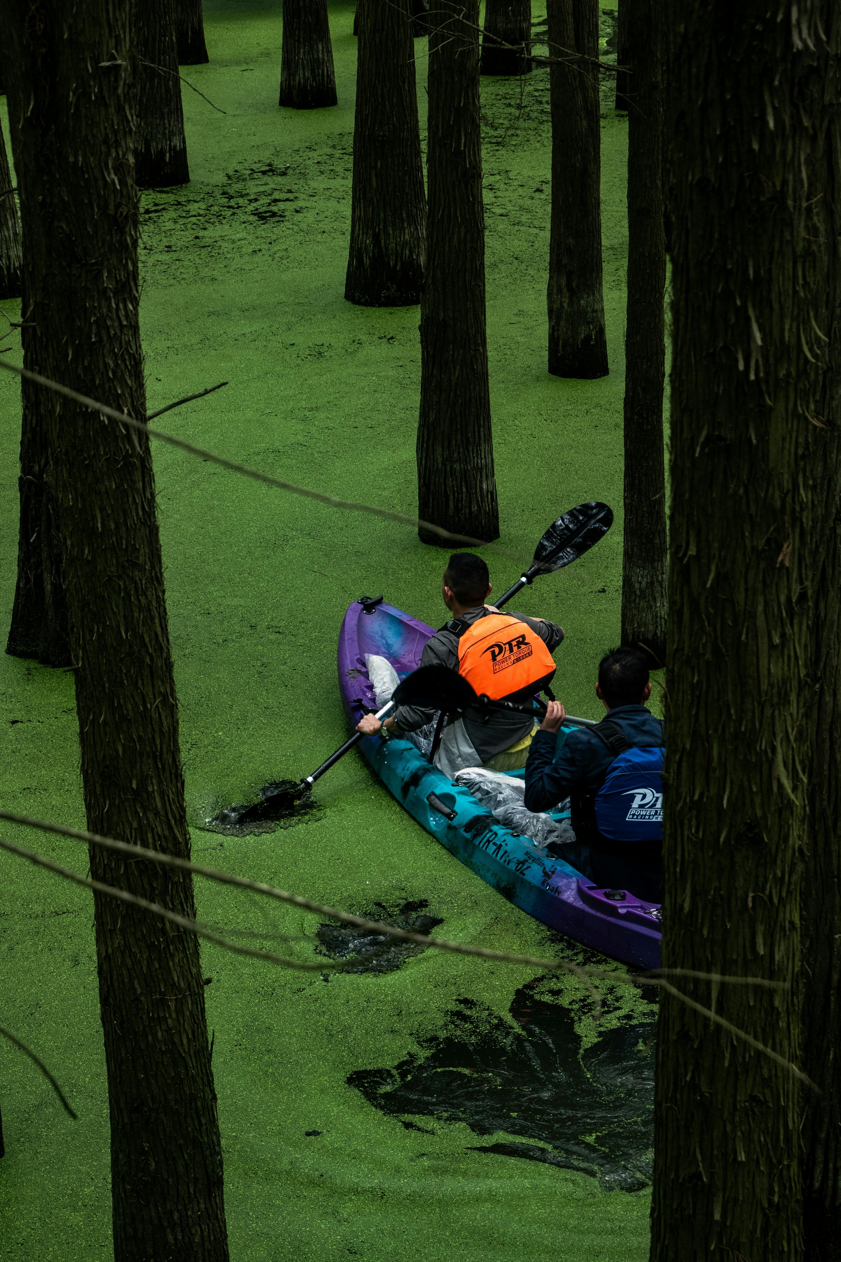 Vari Oar Photos, Download The BEST Free Vari Oar Stock Photos & HD Images