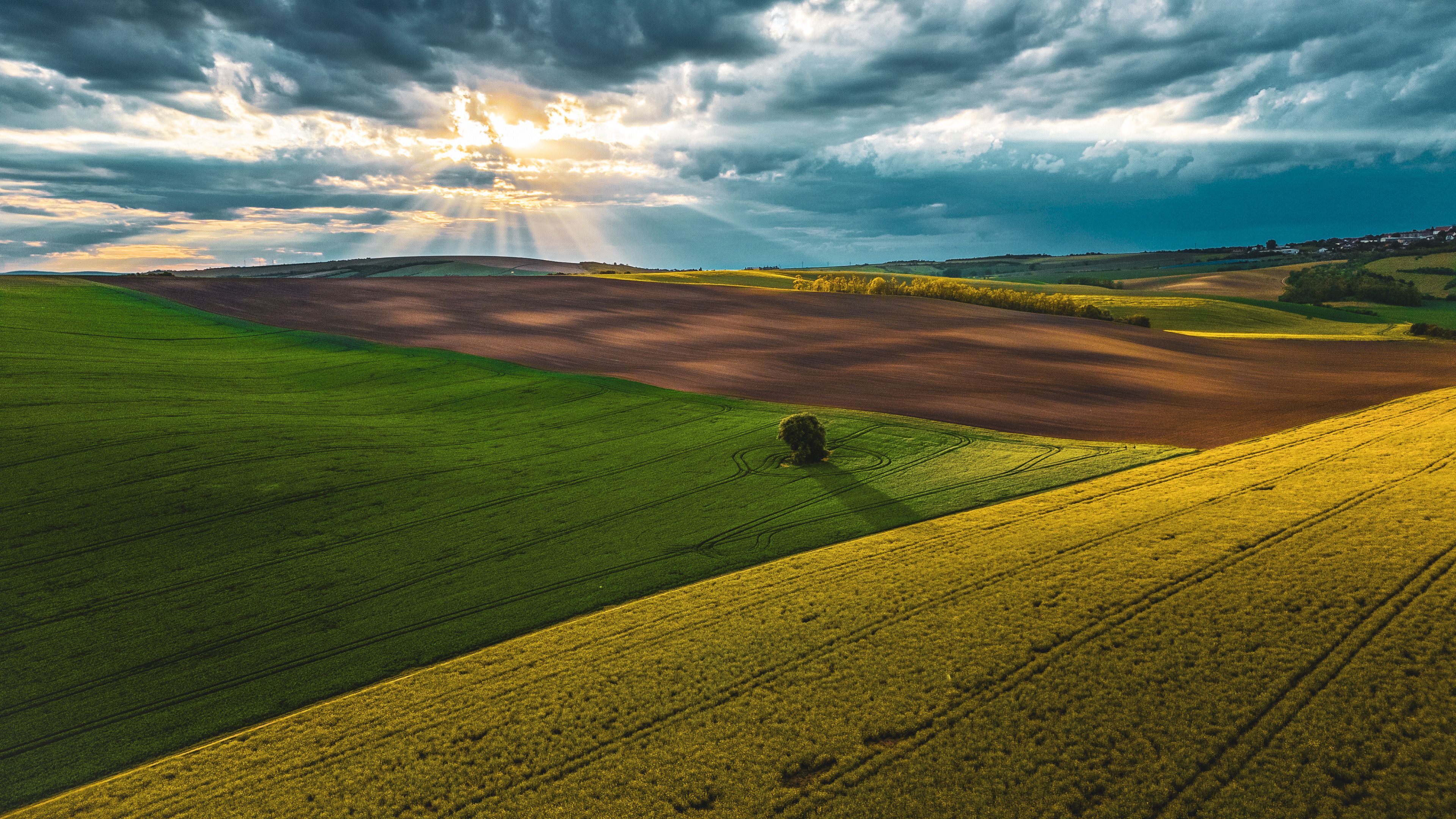 Fields in Sunlight · Free Stock Photo