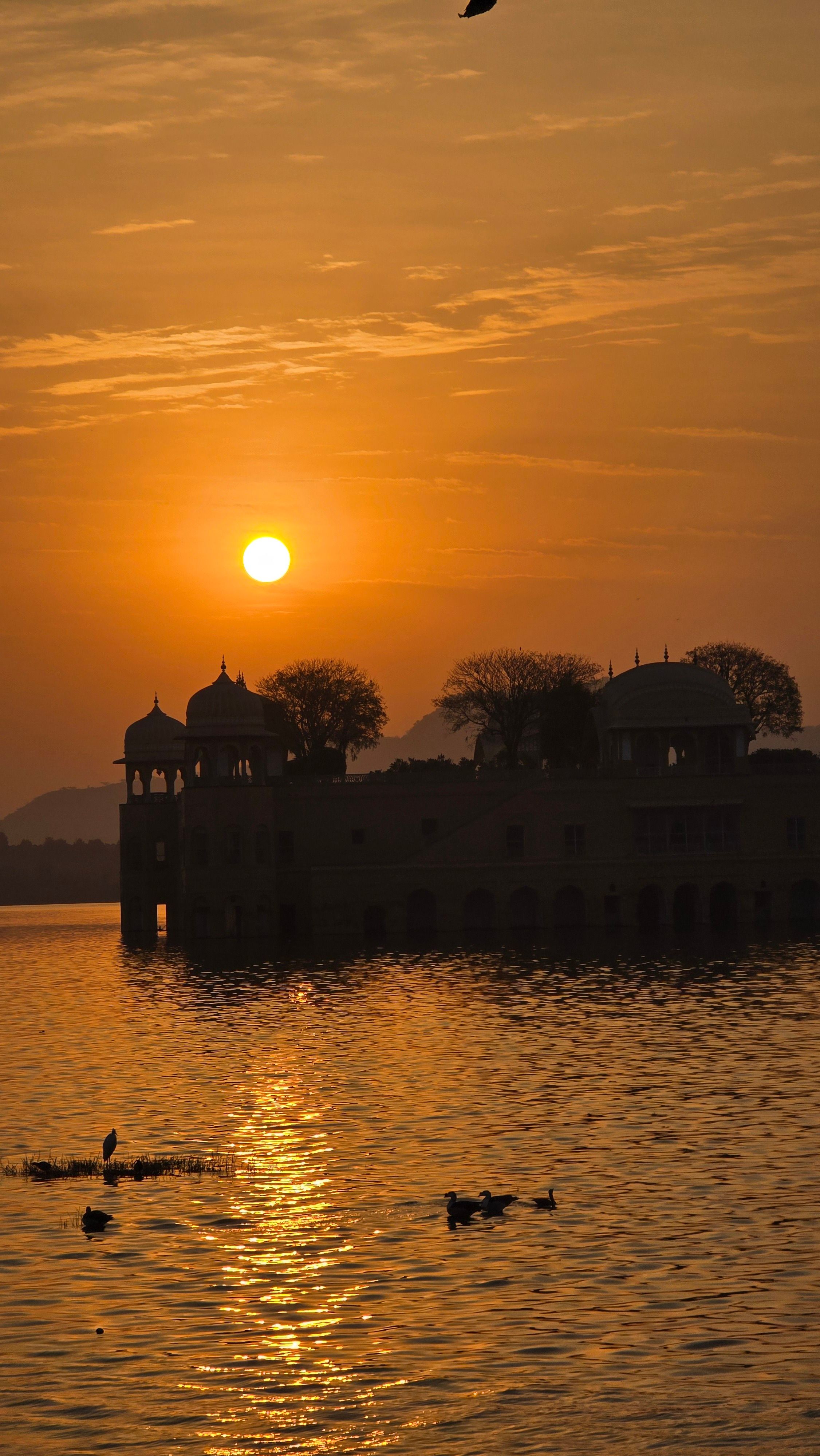Behag Mahal Photos, Download The BEST Free Behag Mahal Stock Photos ...