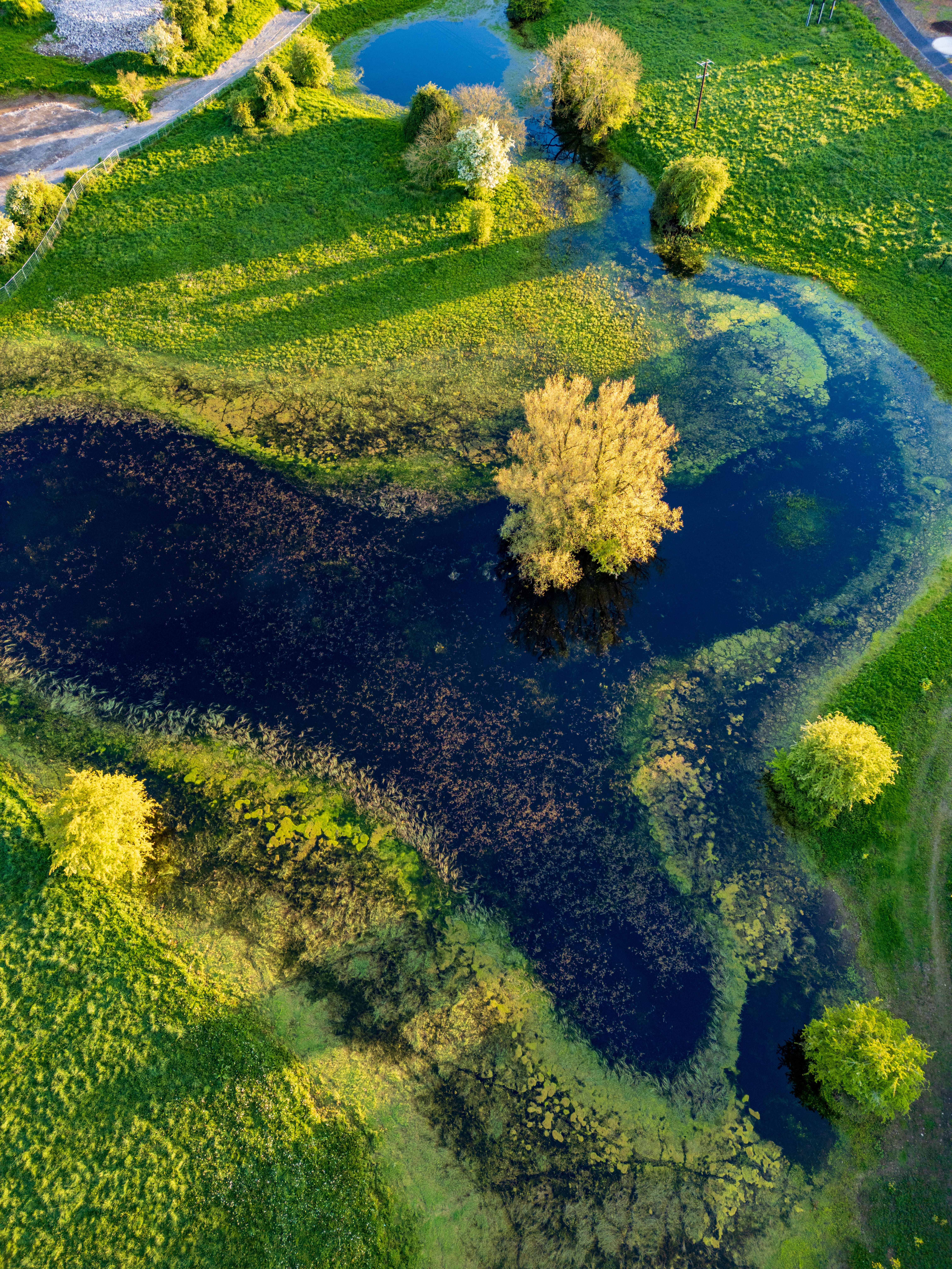 High Angle View of a Lake · Free Stock Photo