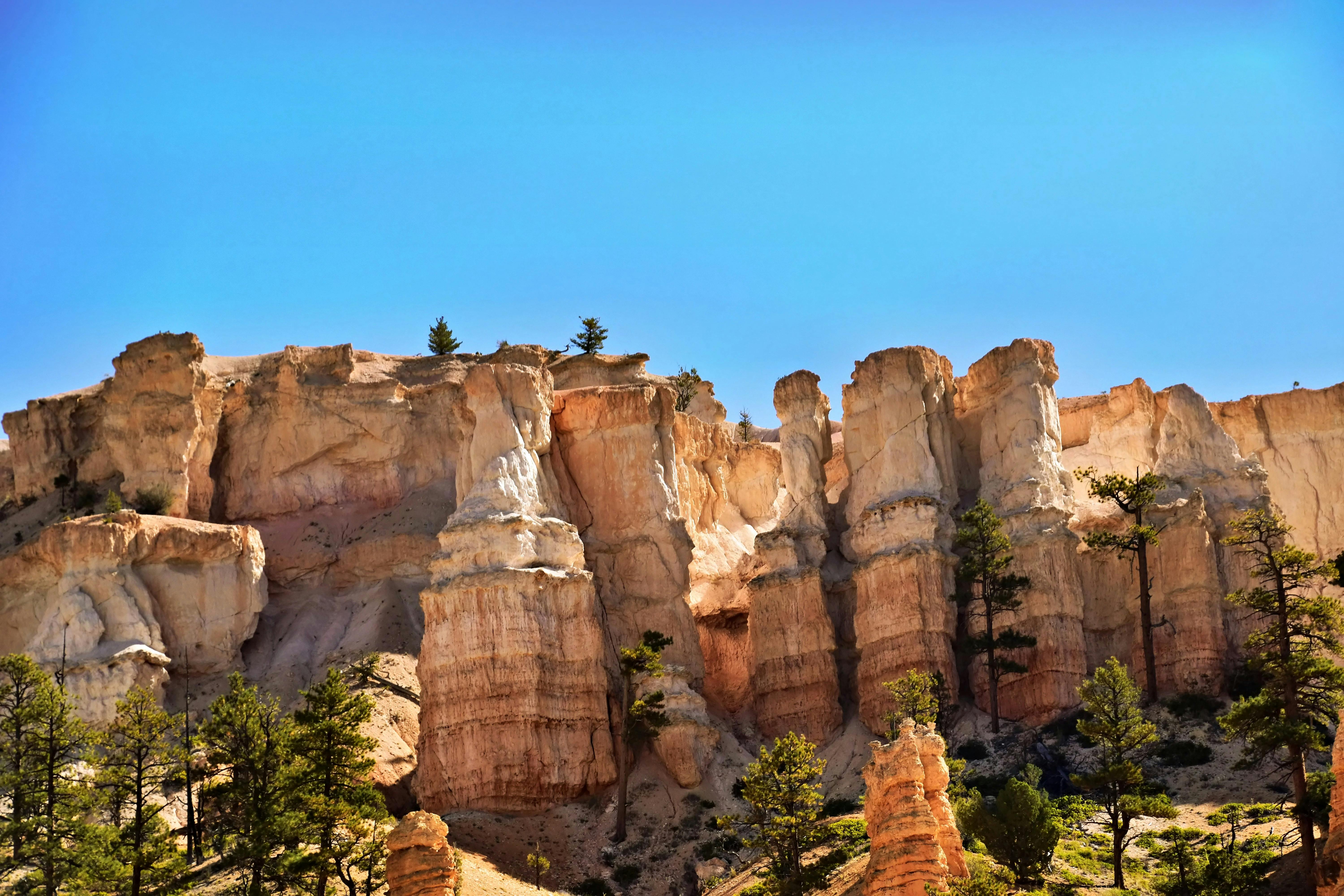 Columnar Rocks Photos, Download The BEST Free Columnar Rocks Stock ...