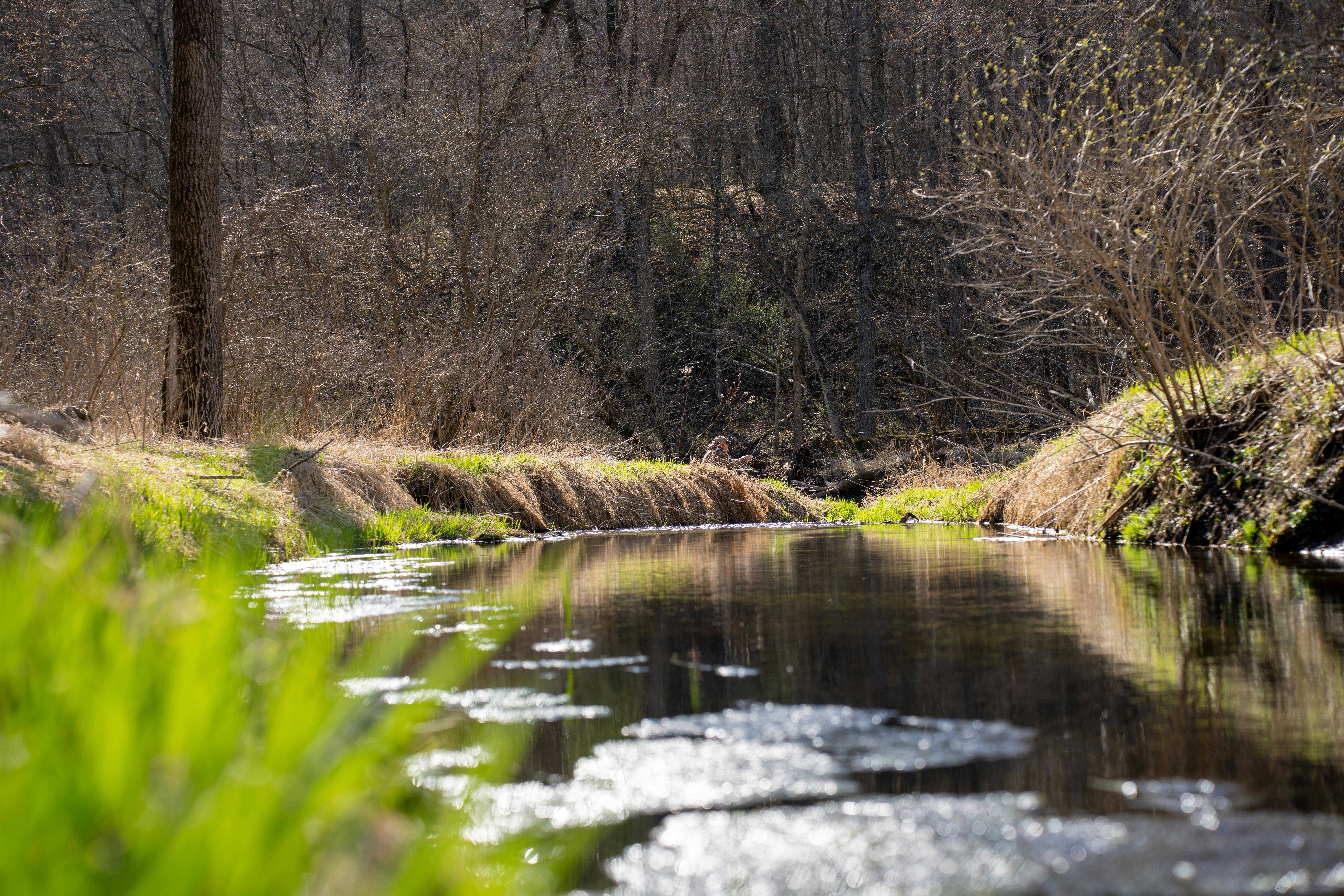 Angler by the River in the Autumn Forest · Free Stock Photo
