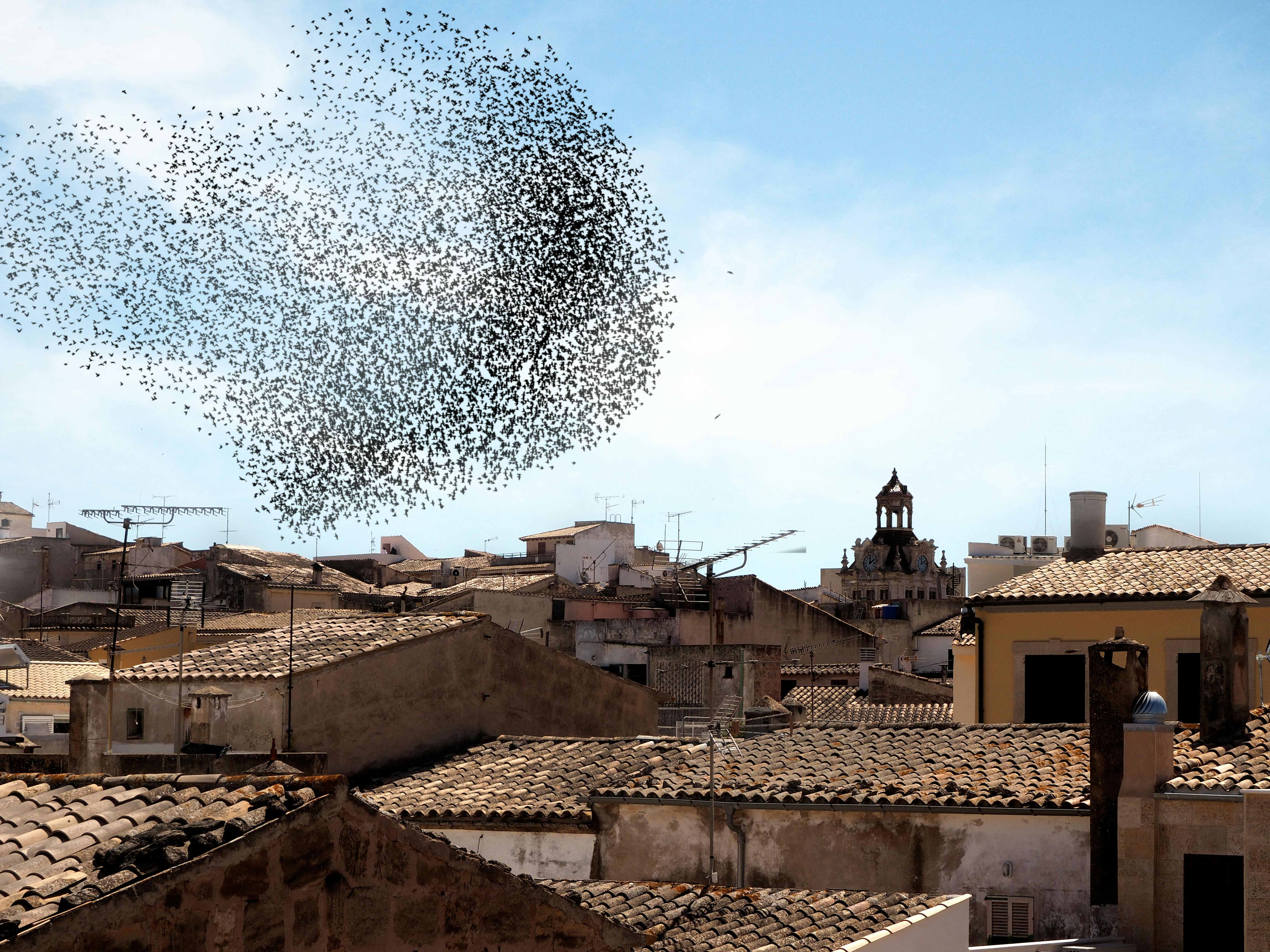 Dorran · Photography