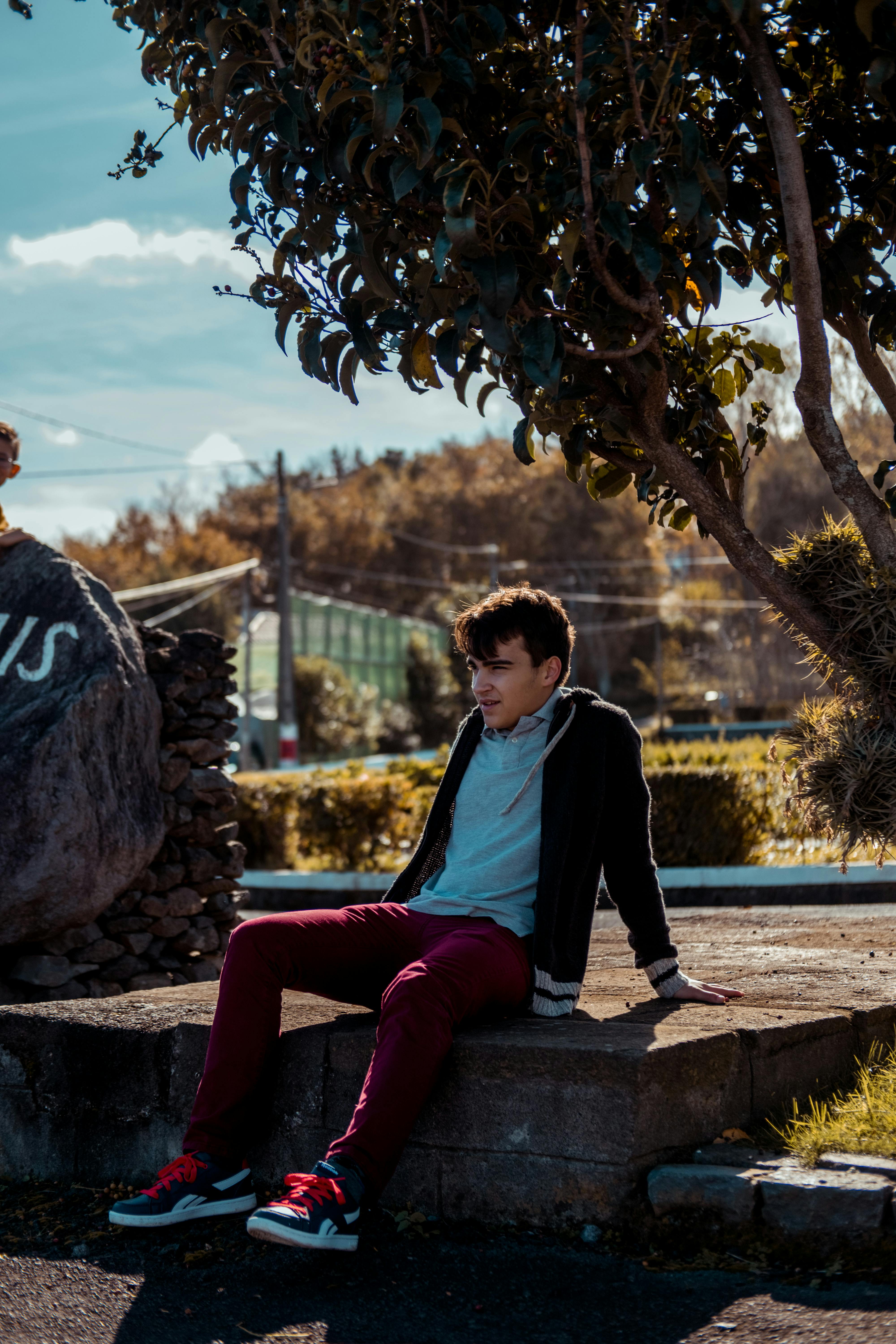 Man Sitting On Pavement Under Tree · Free Stock Photo