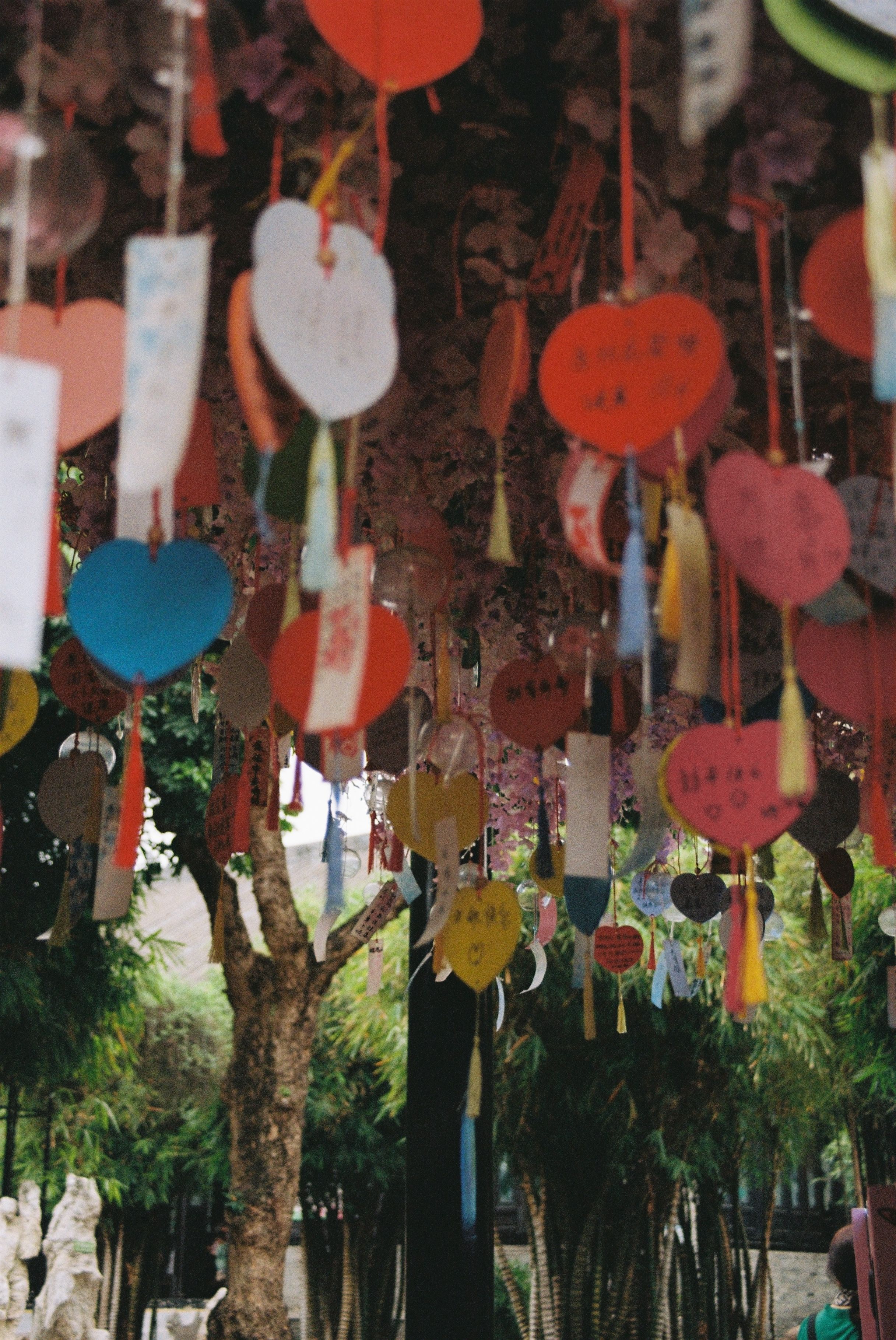 Notes Hanging on a Wishing Tree in a Buddhist Temple · Free Stock Photo
