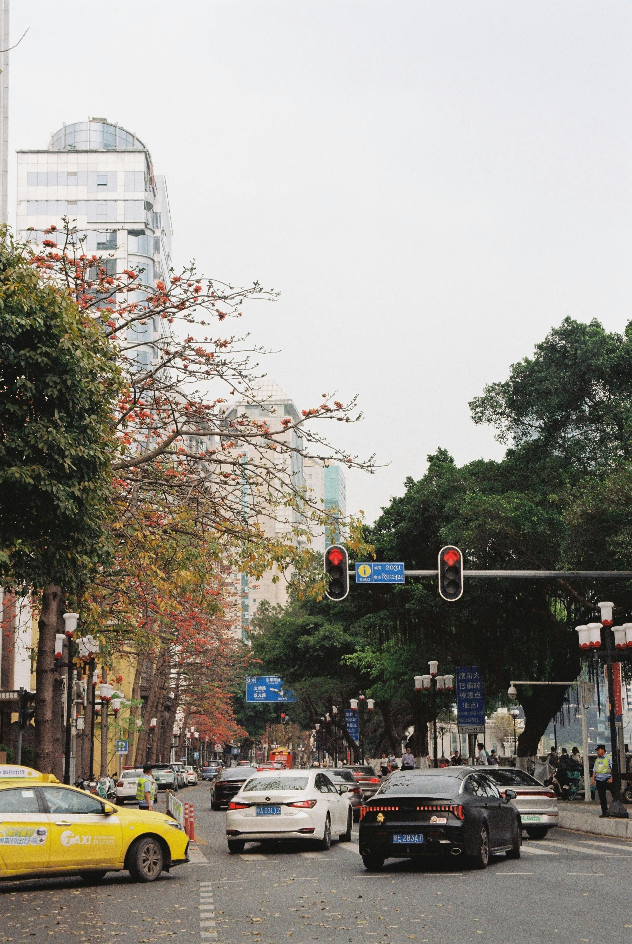 Cars on the Red Light at the Intersection · Free Stock Photo