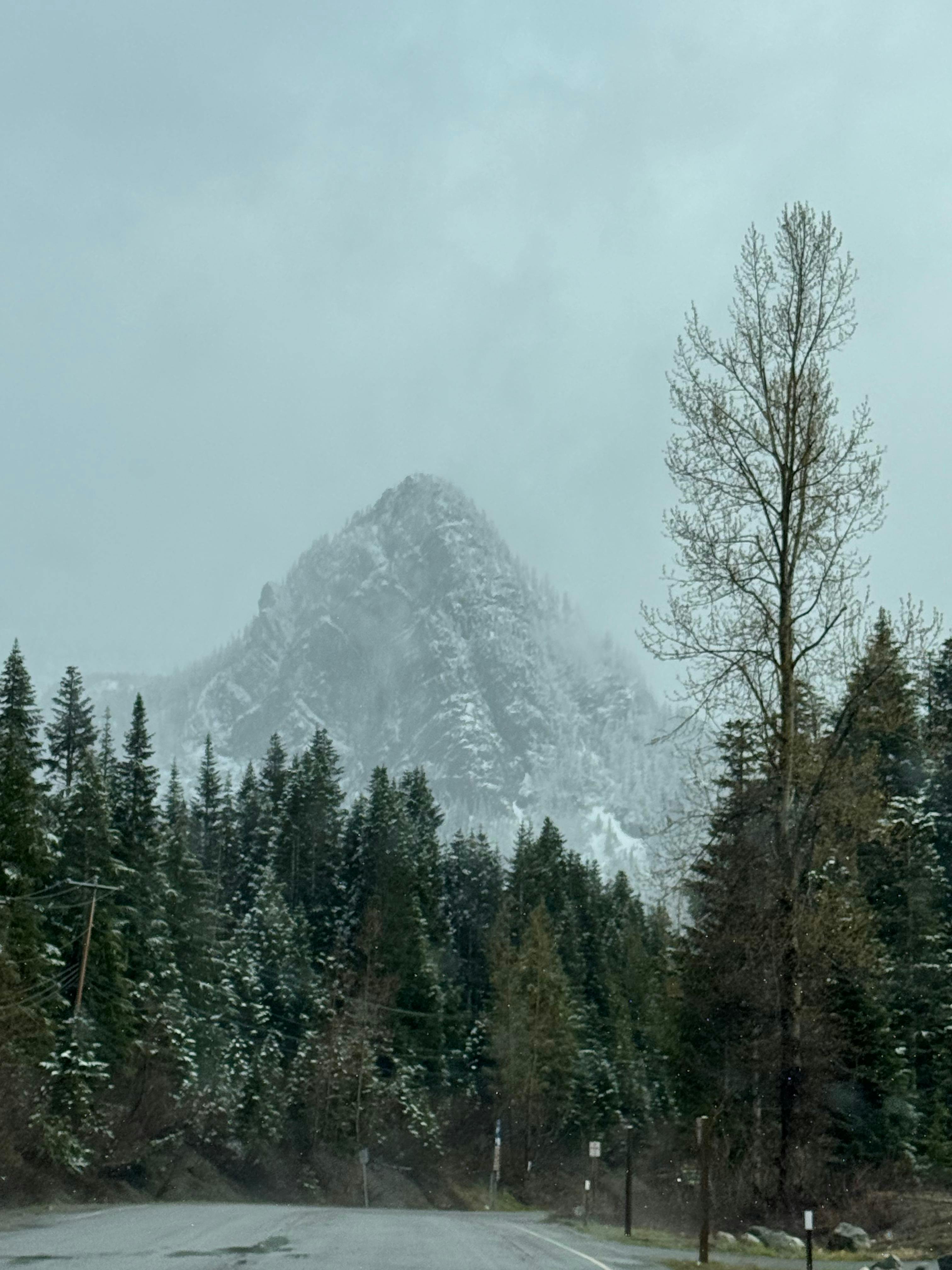 Foggy Mountain Photos, Download The BEST Free Foggy Mountain Stock ...