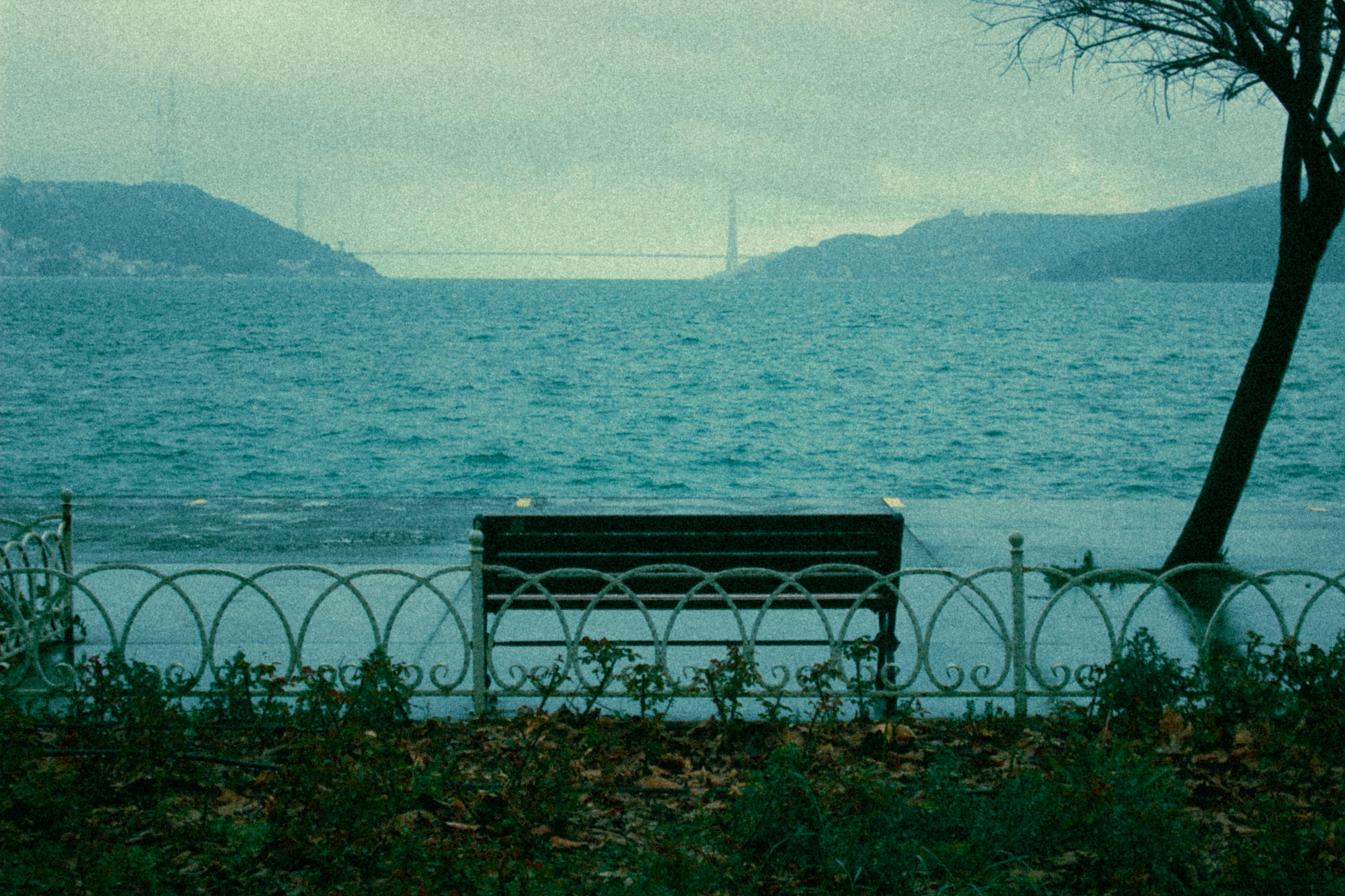 Bench with a View of the Sea · Free Stock Photo