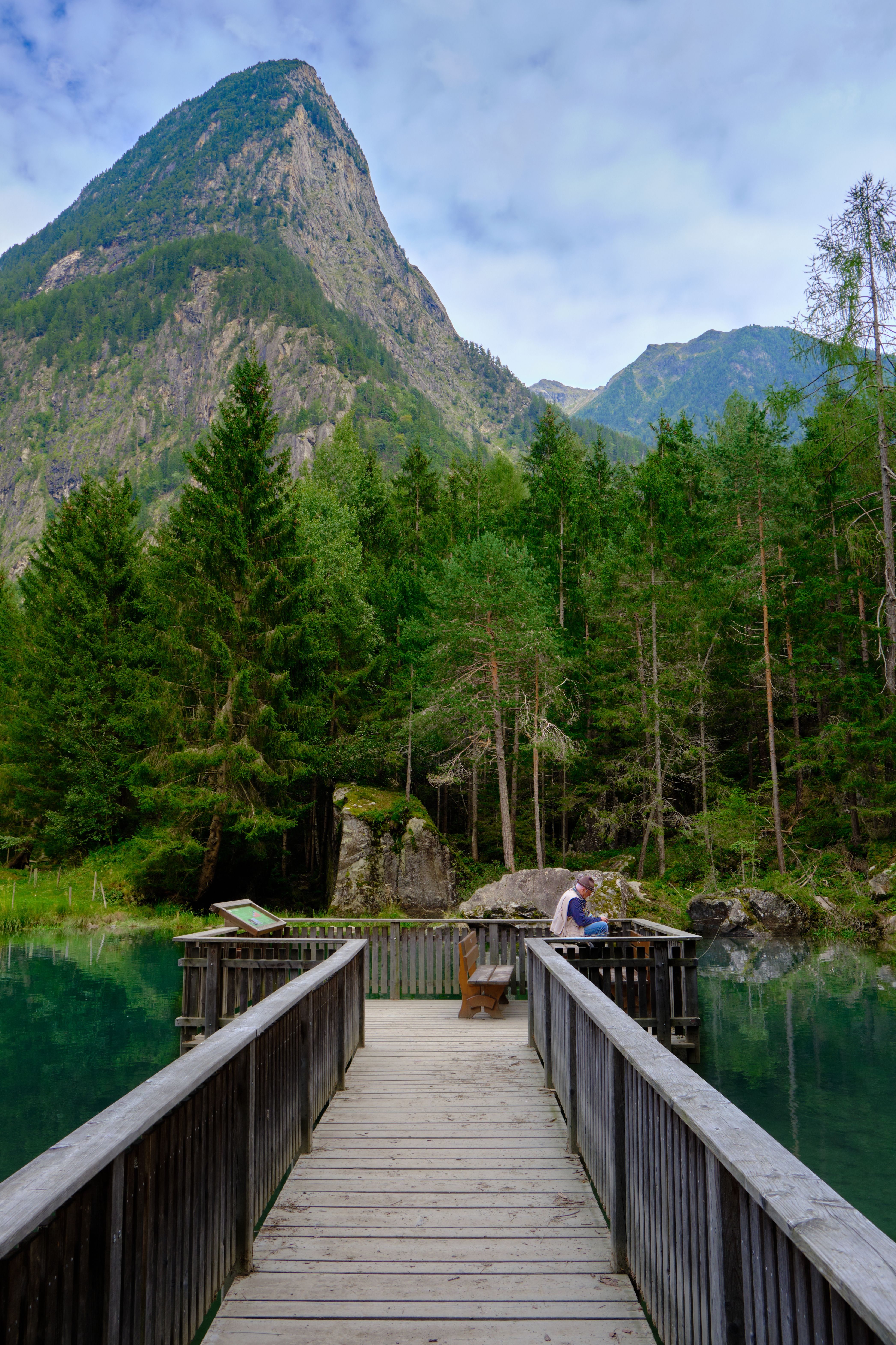Scenic Mountain Bridge in Triglav National Park · Free Stock Photo