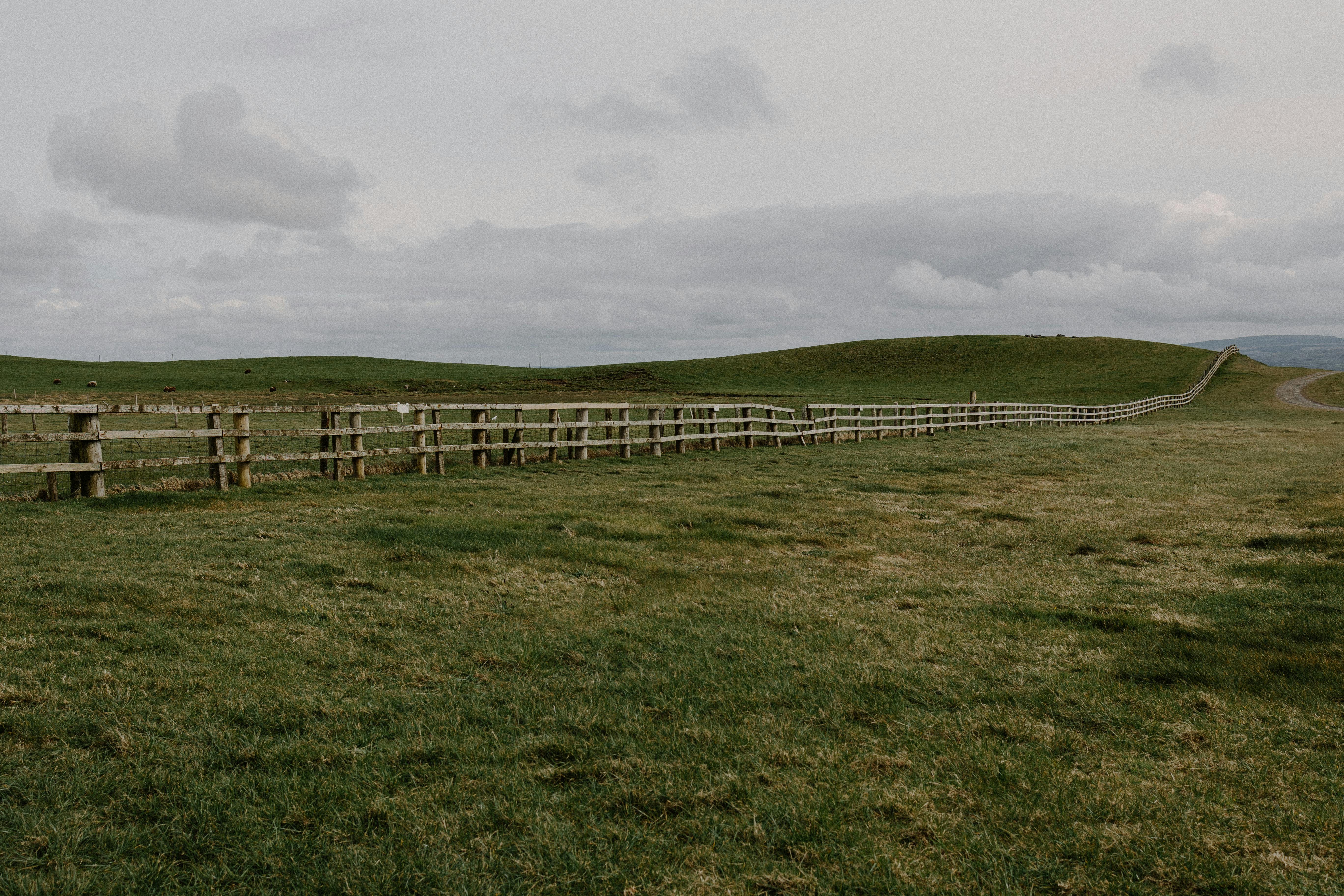 Fence on Fields, on Cliffs of Moher · Free Stock Photo