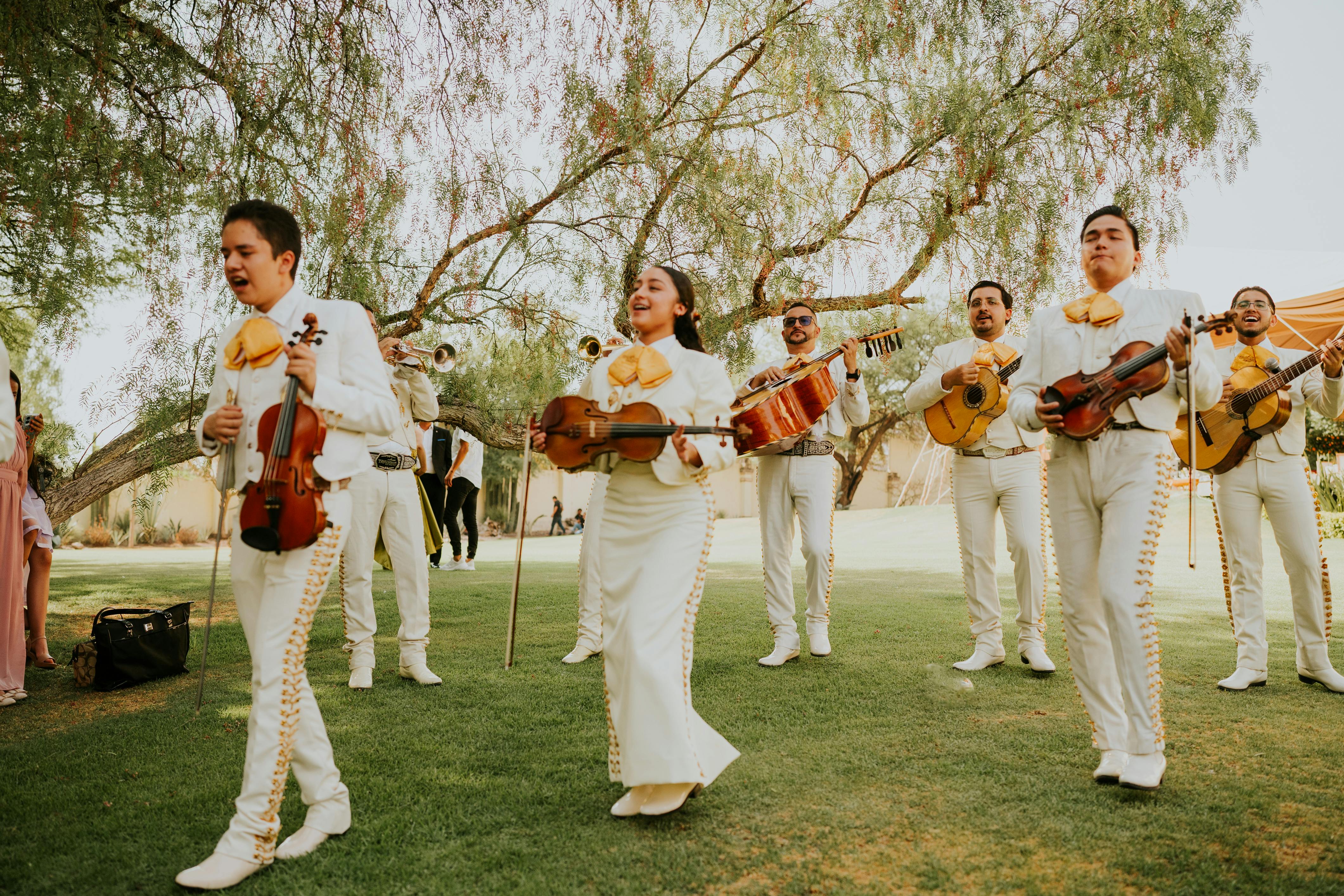 Orchestra Playing Violins in Traditional Clothing · Free Stock Photo