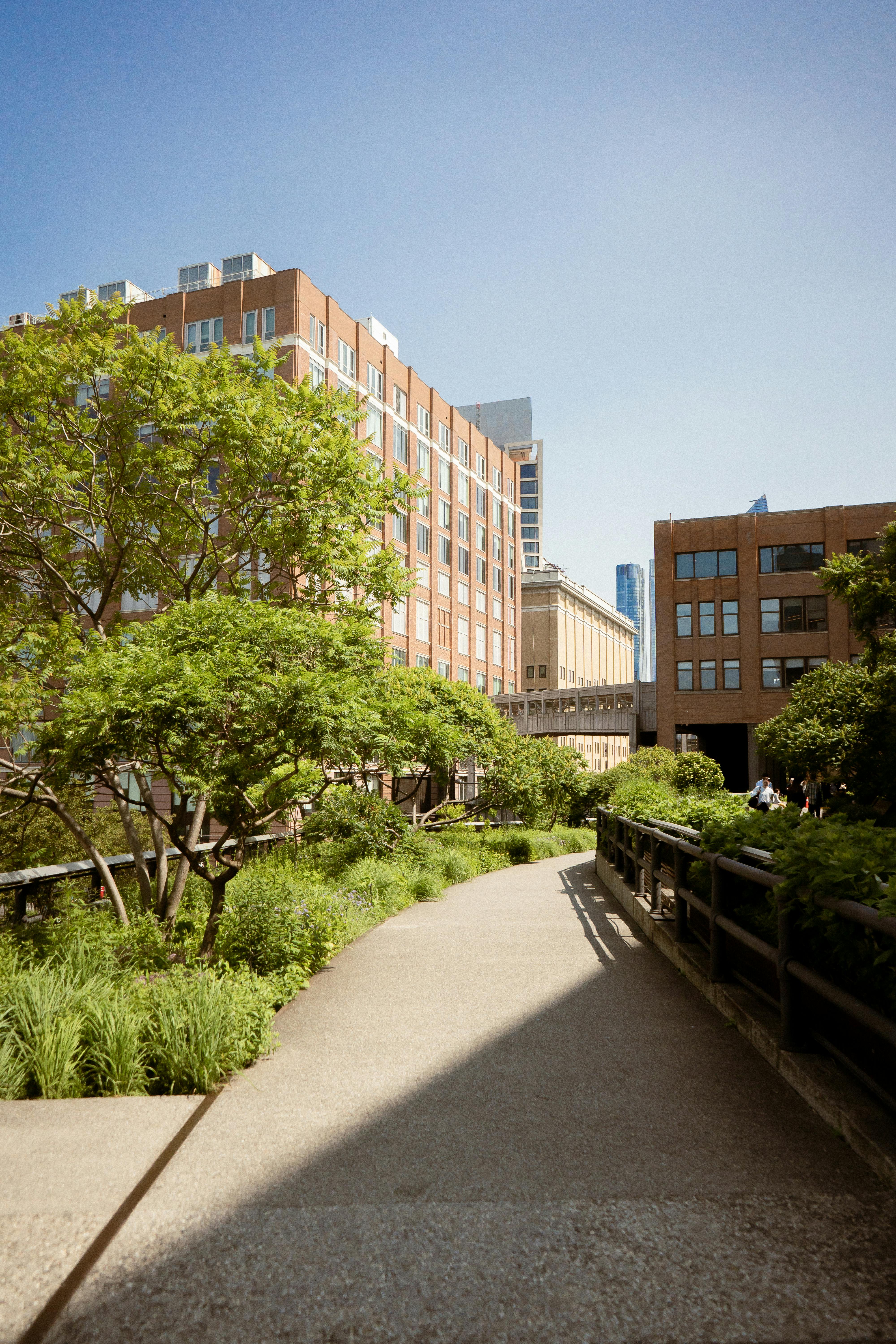 The High Line and Apartment Buildings in New York City, NY, USA · Free ...
