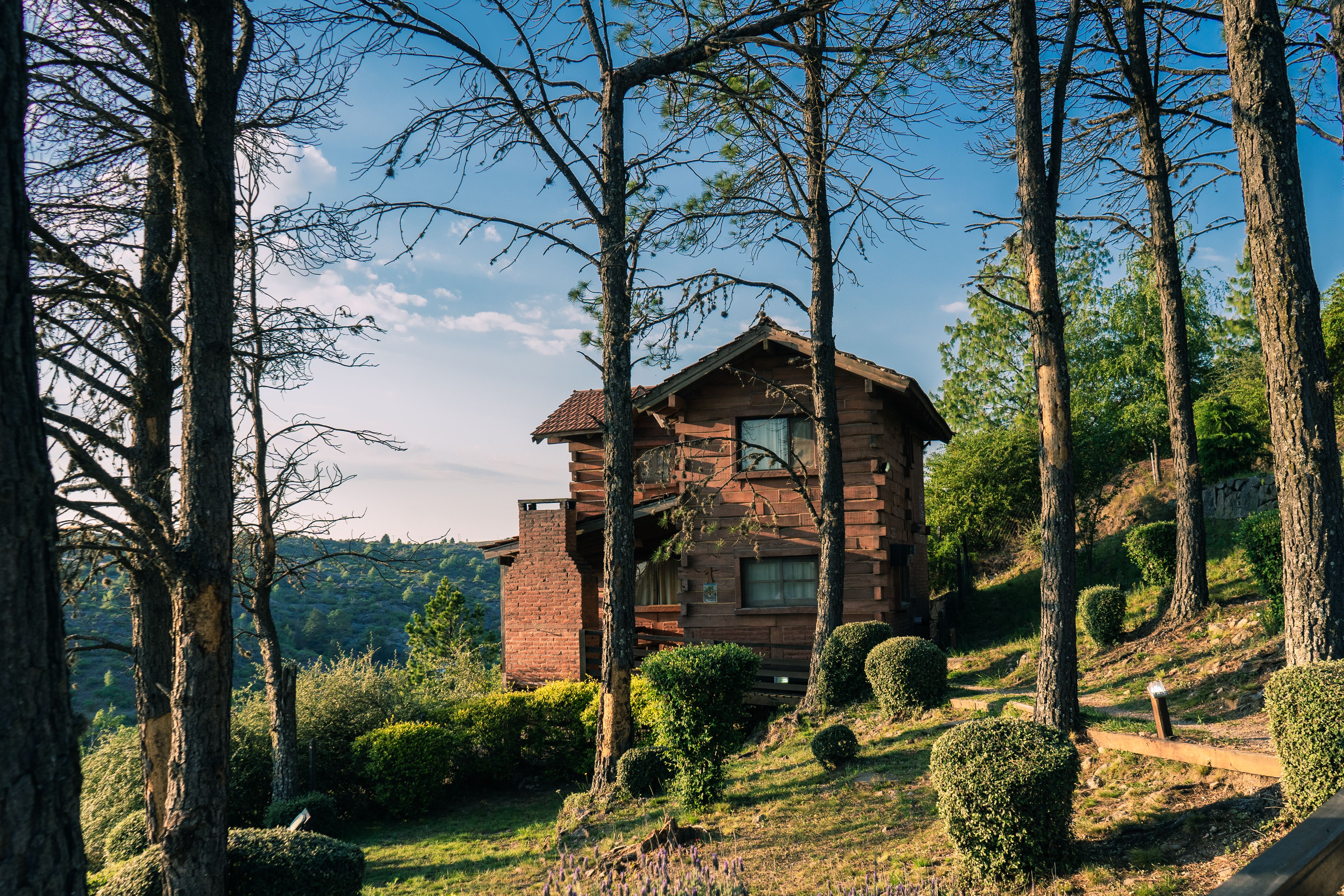 Foto de stock gratuita sobre al aire libre, américa del sur, arboles ...
