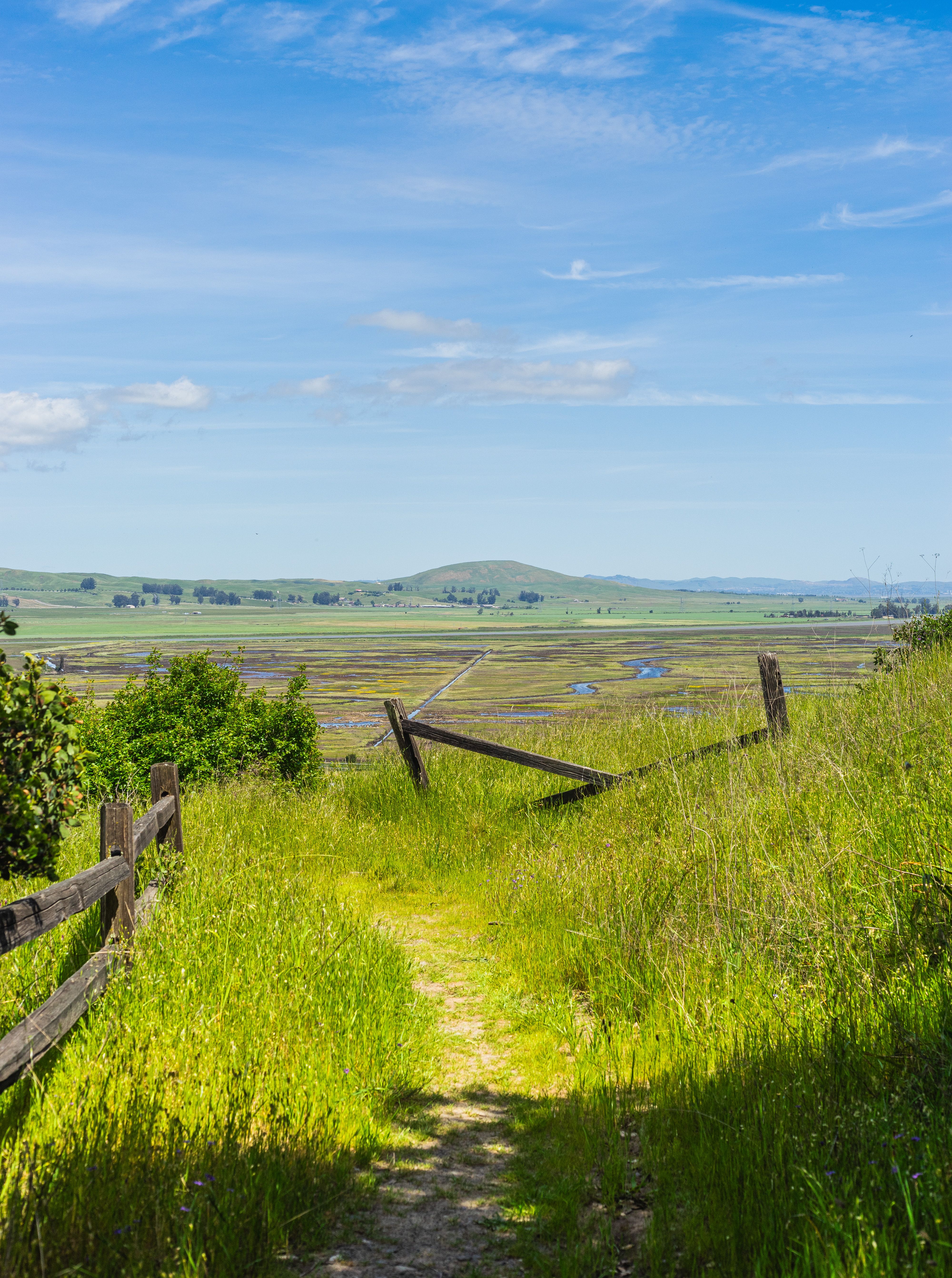 Path on a Sunny Field · Free Stock Photo