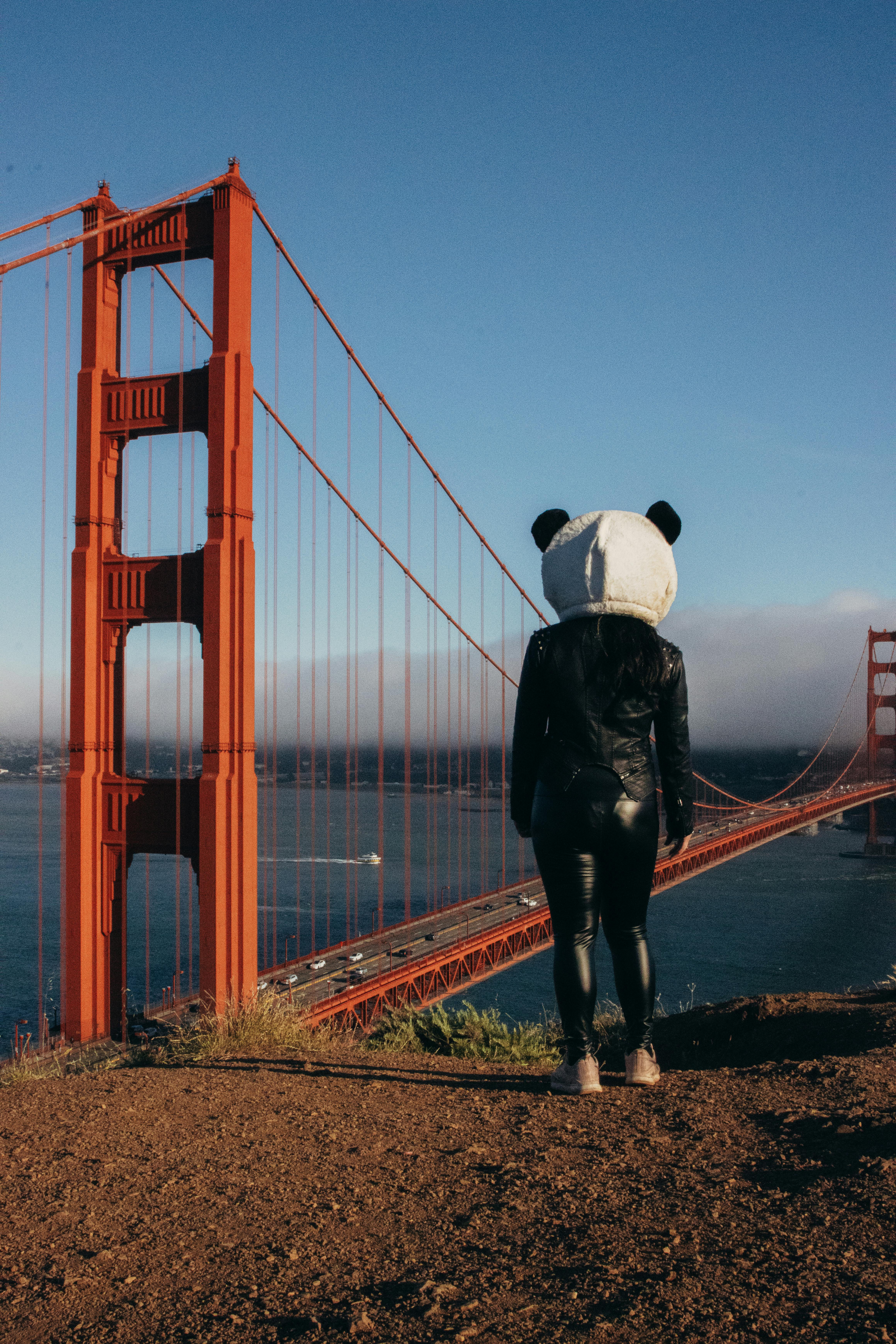 Tourist Panda at the Golden Gate Bridge in San Francisco · Free Stock Photo